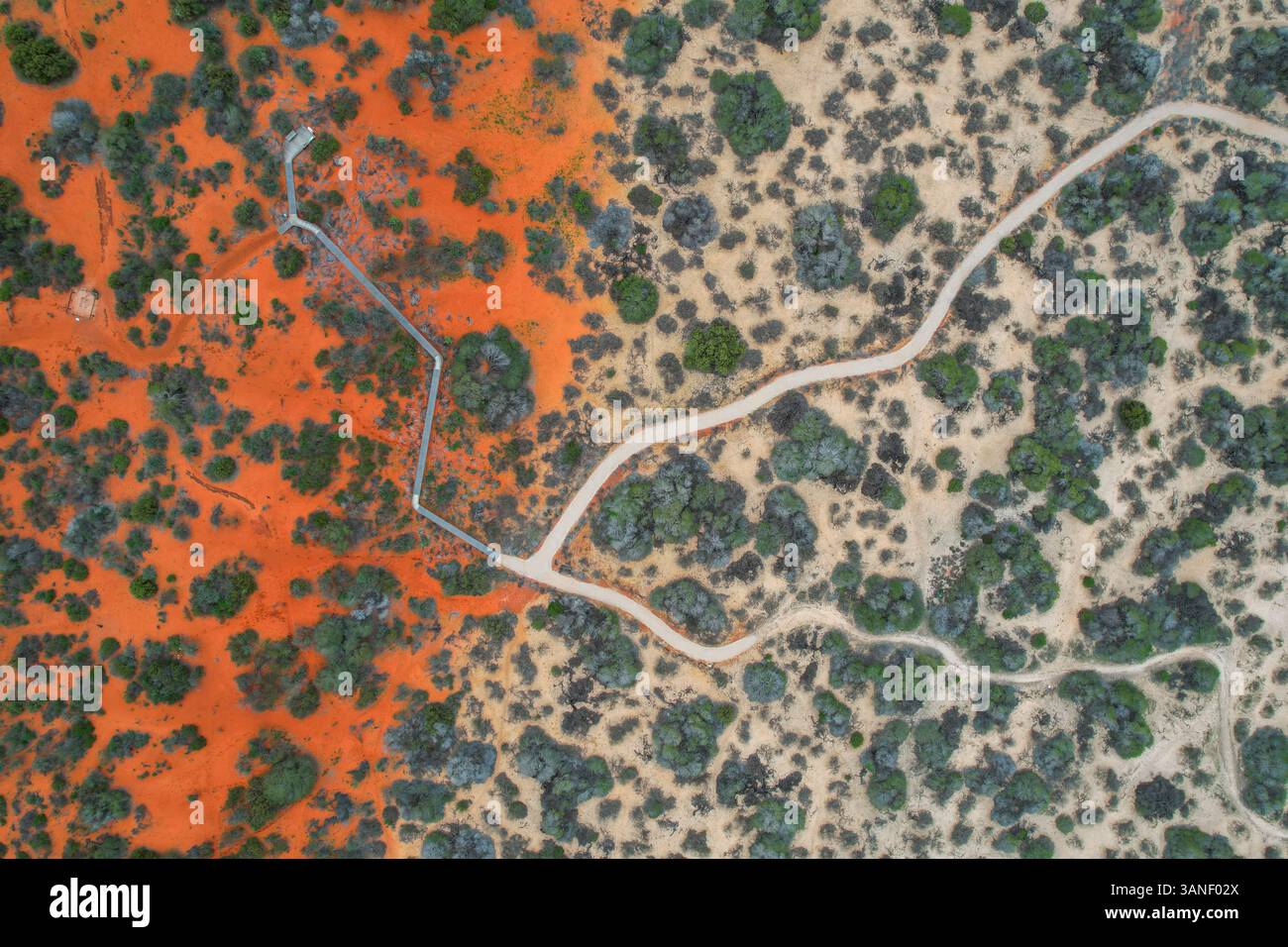 Aerial view of winding road through red earth and lush vegetation in ...