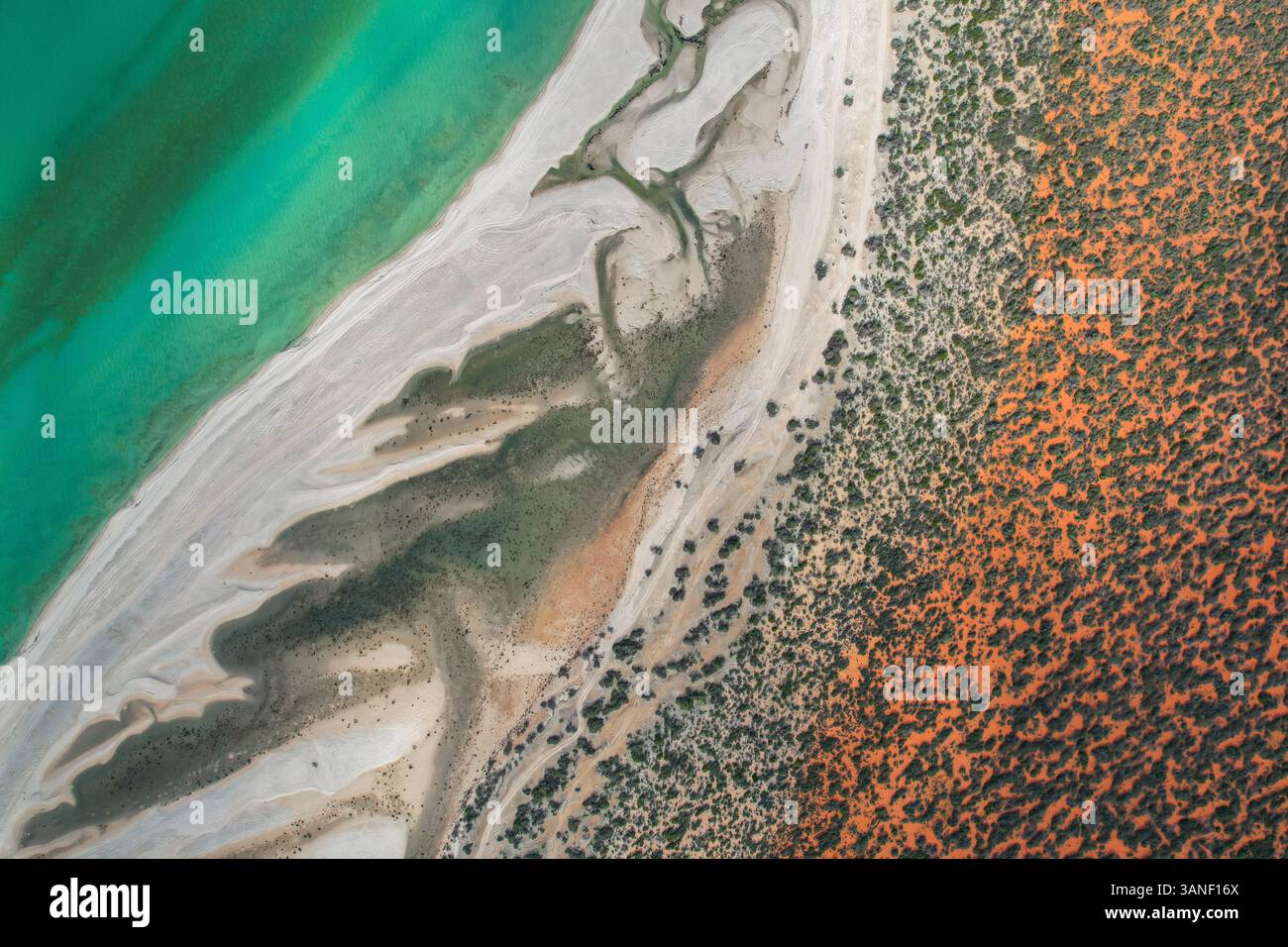 Aerial view of beautiful Shell Beach with sandy coastline and blue ...