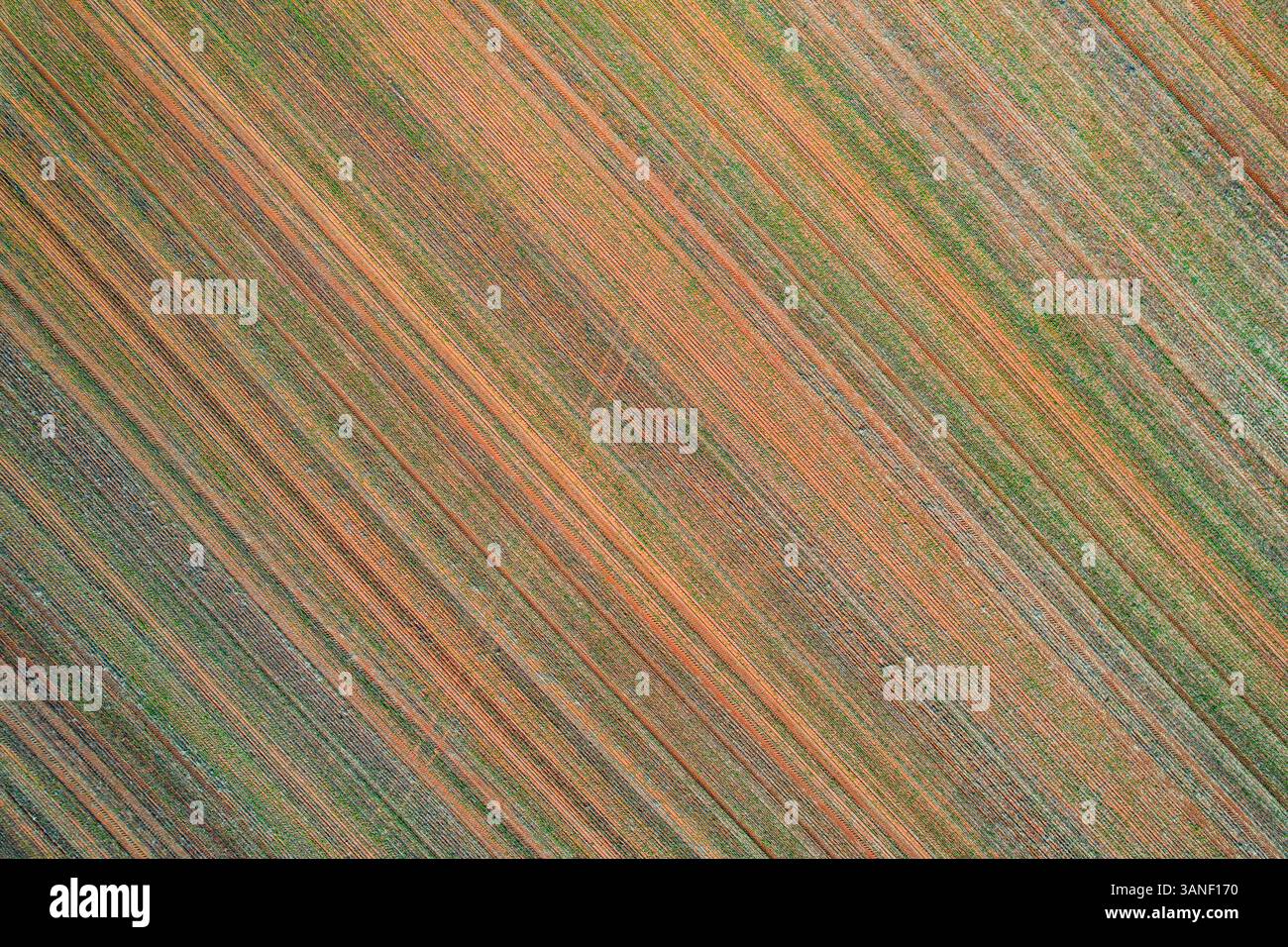 Aerial view of abstract patterns and lines in a vibrant field, Womarden ...