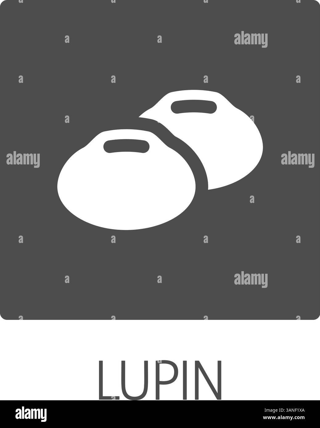 Lupin Bean Legume Food Icon Concept Stock Vector Image & Art - Alamy