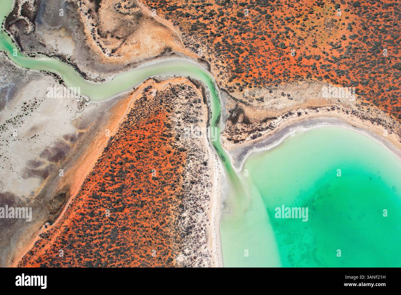 Aerial view of vibrant and tranquil Big Lagoon with abstract patterns ...