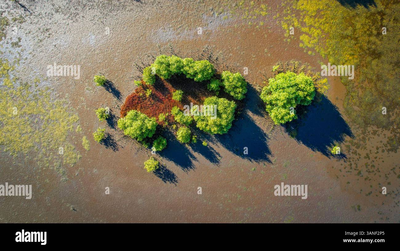 Aerial view of Tinchi Tamba Wetlands Reserve with lush vegetation and ...