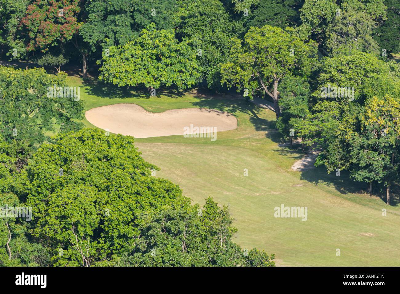 Landscape in aerial view of golf course for golfer with grass green ...