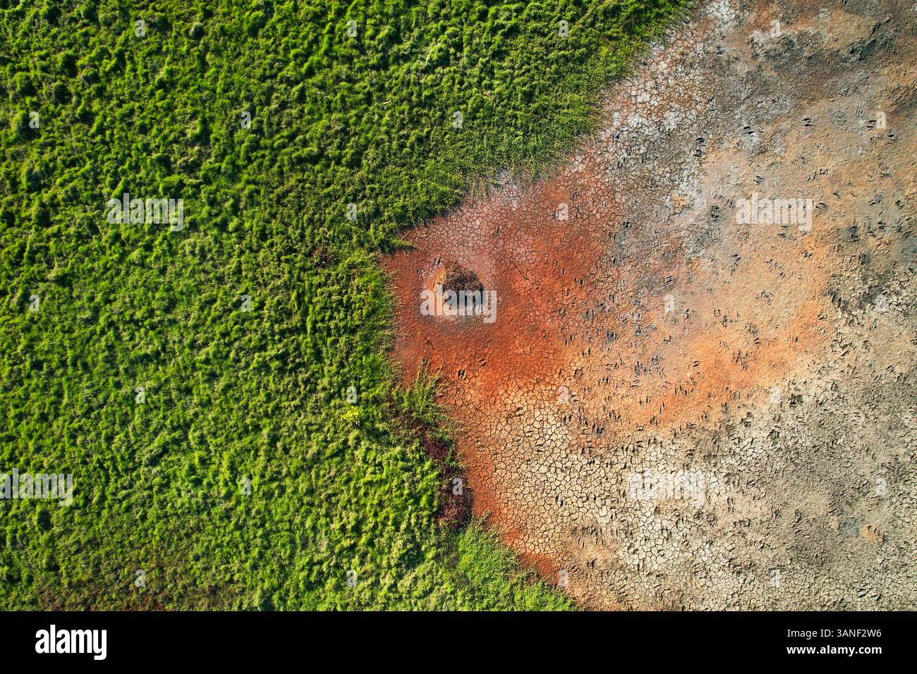 Aerial view of Tinchi Tamba Wetlands Reserve with green grass and red ...