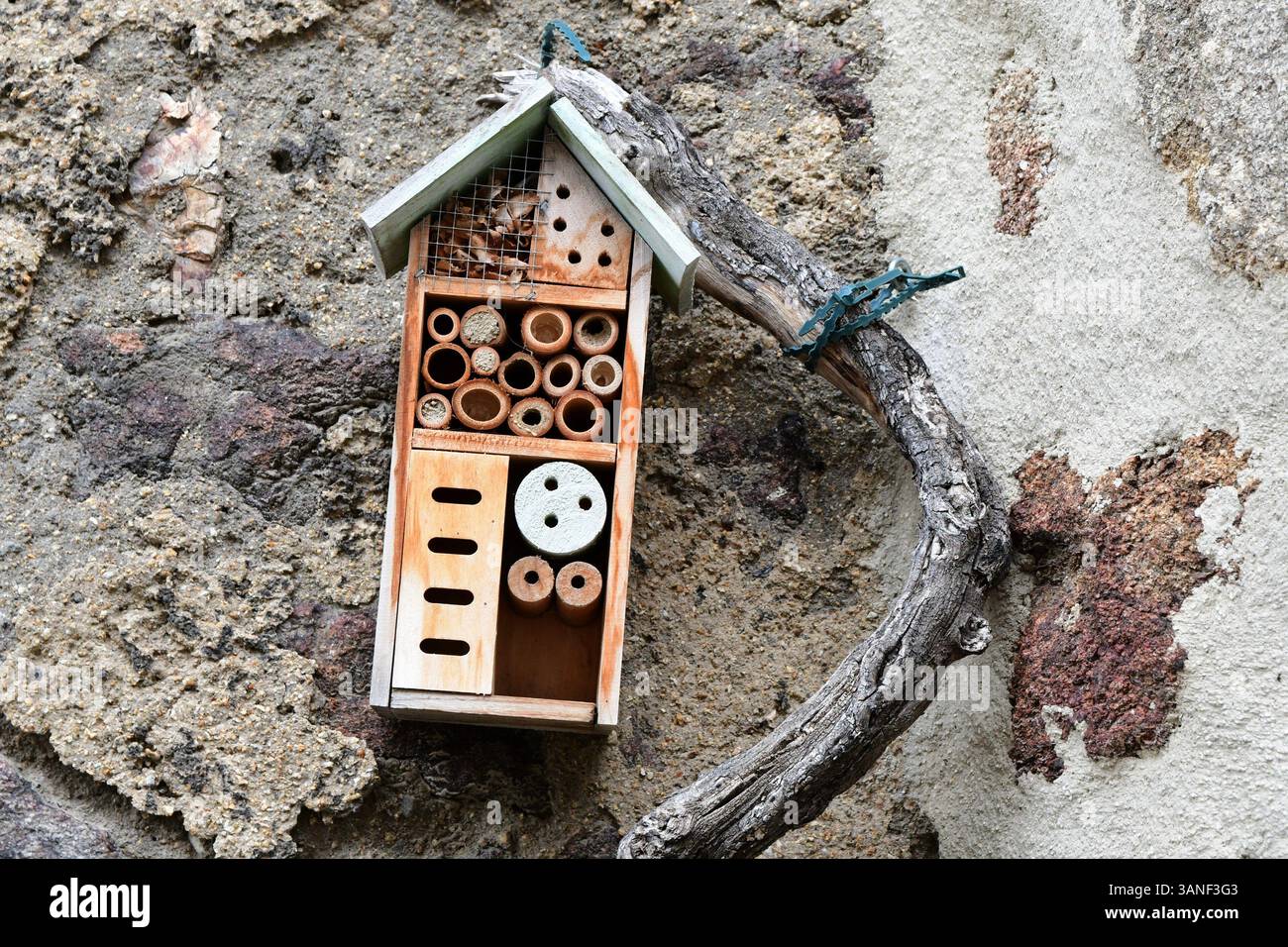 Insect nest box for protection from the cold, storing food and for ...