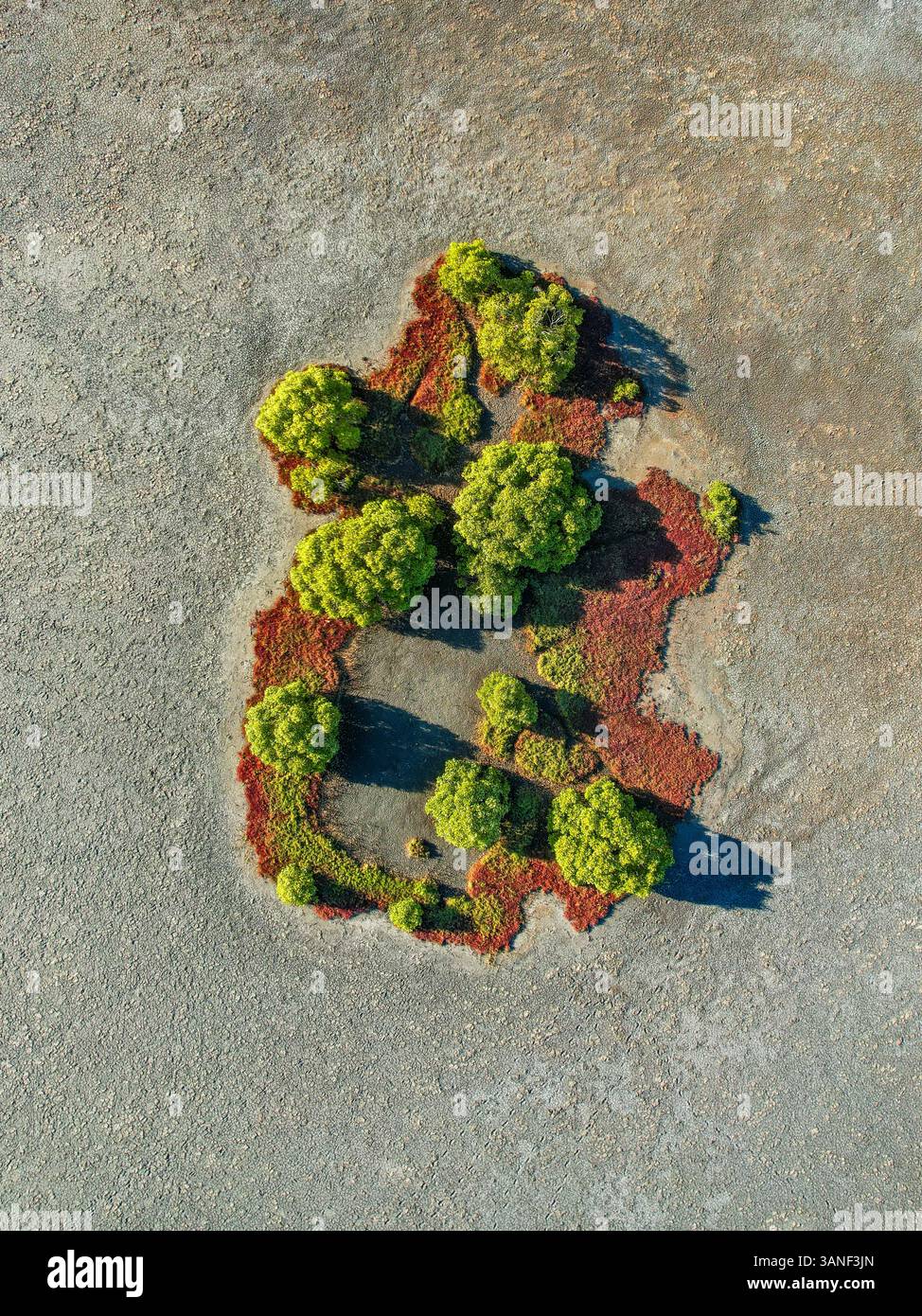 Aerial view of Tinchi Tamba Wetlands Reserve, abstract, Bald Hills ...