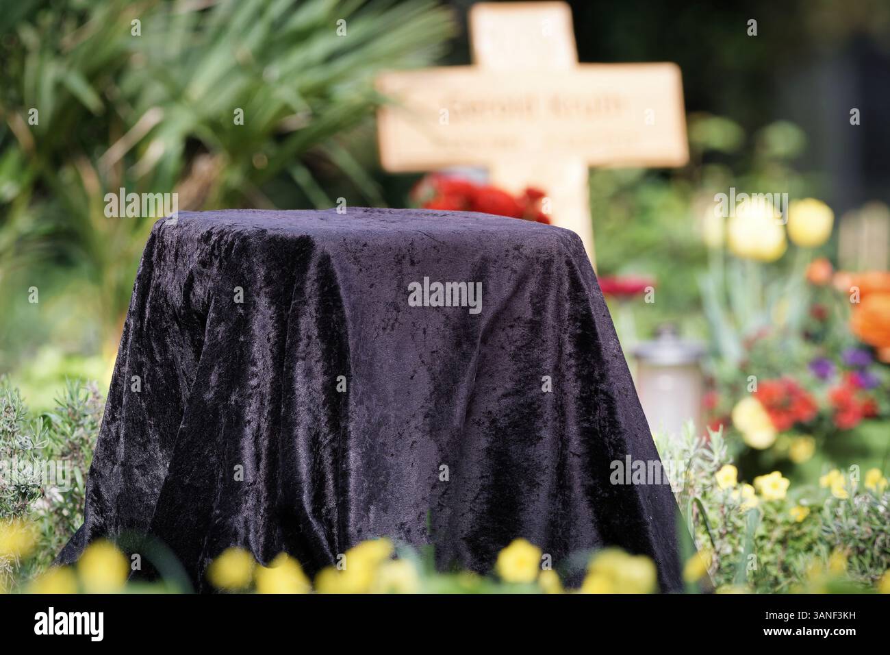 A pedestal covered with a black velvet cloth is ready for the placement ...