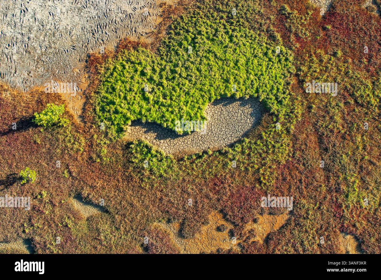 Aerial view of Tinchi Tamba Wetlands Reserve, Bald Hills, Queensland ...