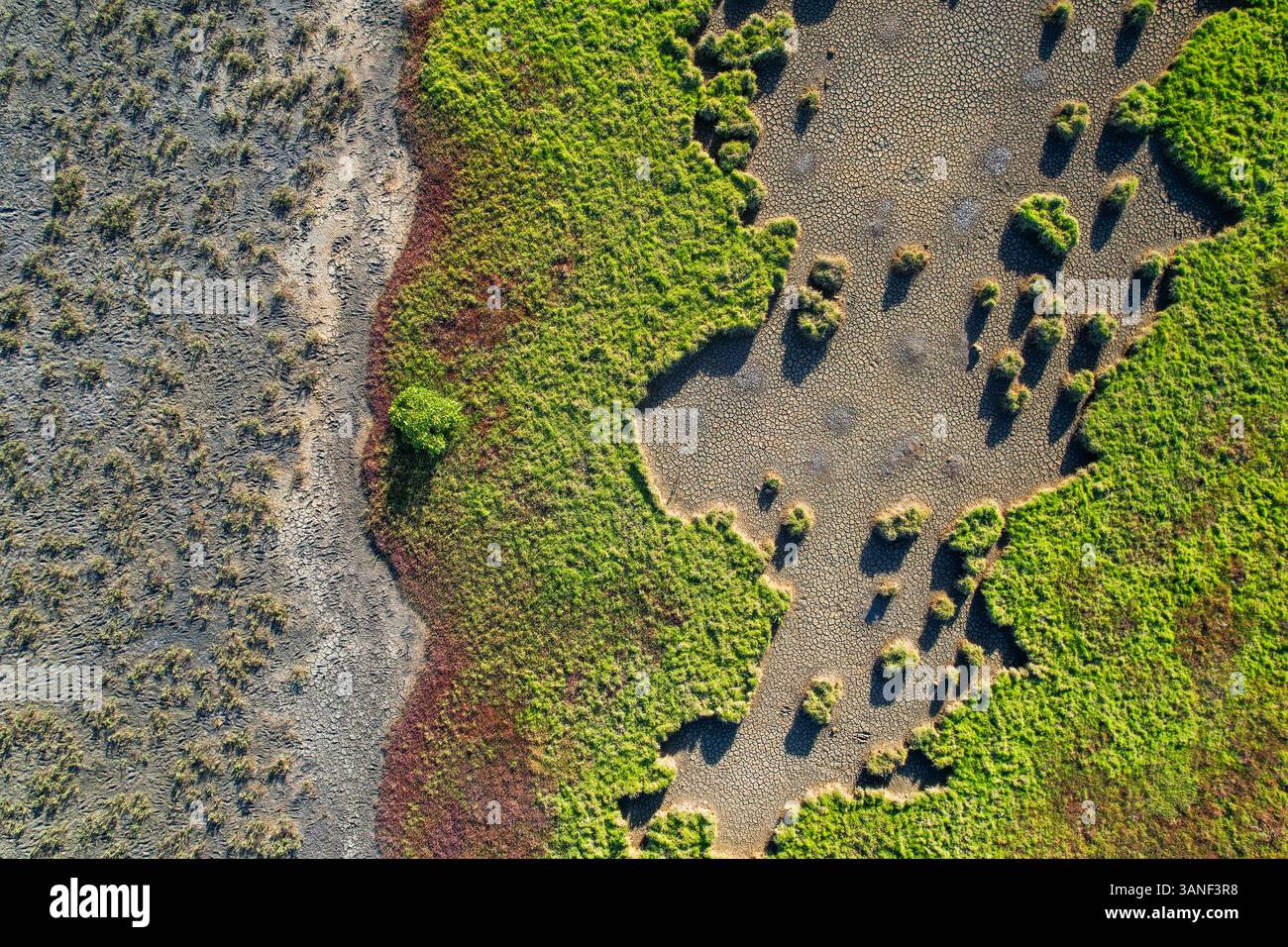 Aerial view of Geoff Skinner Wetlands, abstract, Bald Hills, Brisbane ...
