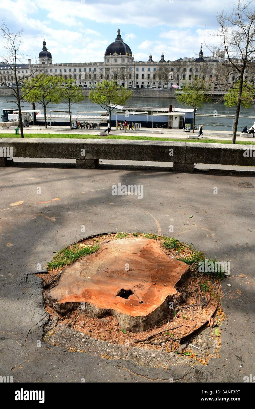 2025 0301 jpg hi-res stock photography and images - Alamy