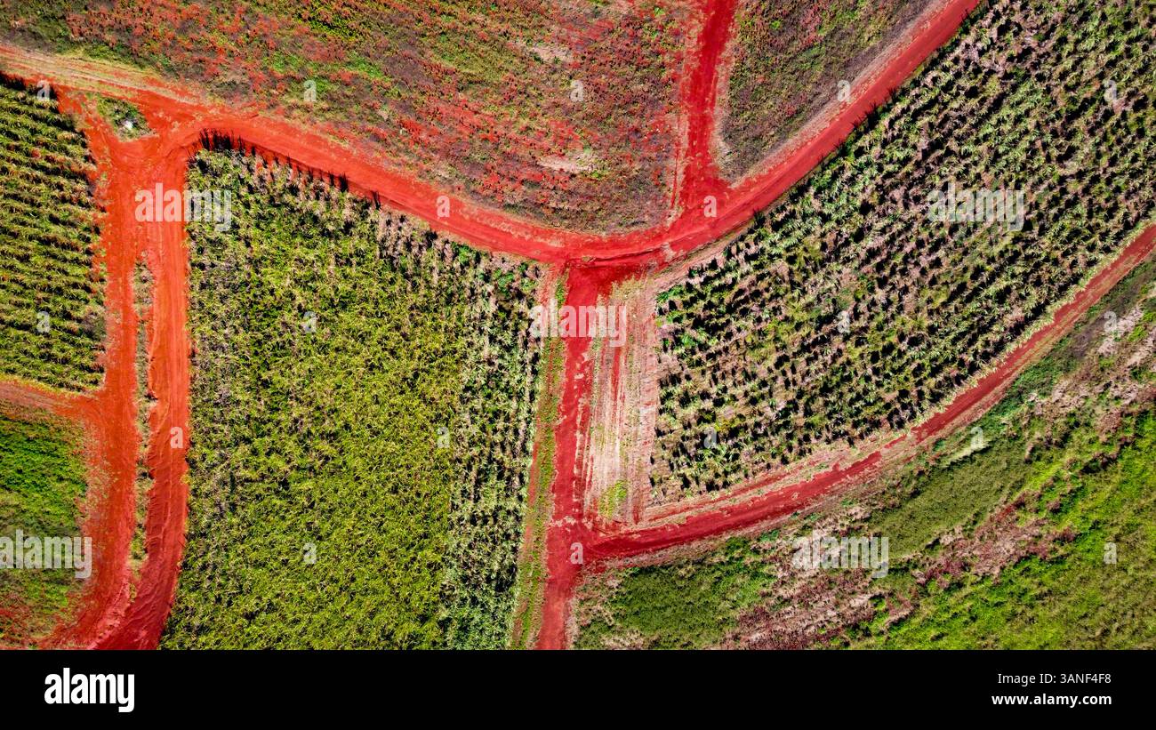 Aerial view of abstract farmland patterns in Childers, Queensland ...
