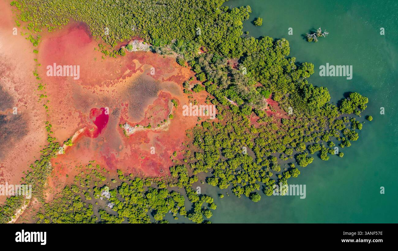 Aerial view of lush tropical mangroves and heart-shaped water ...