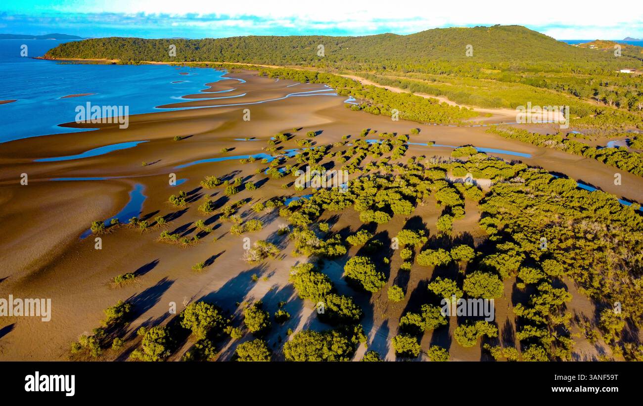 Aerial view of tranquil wetlands and mangroves by the coast, Kinka ...