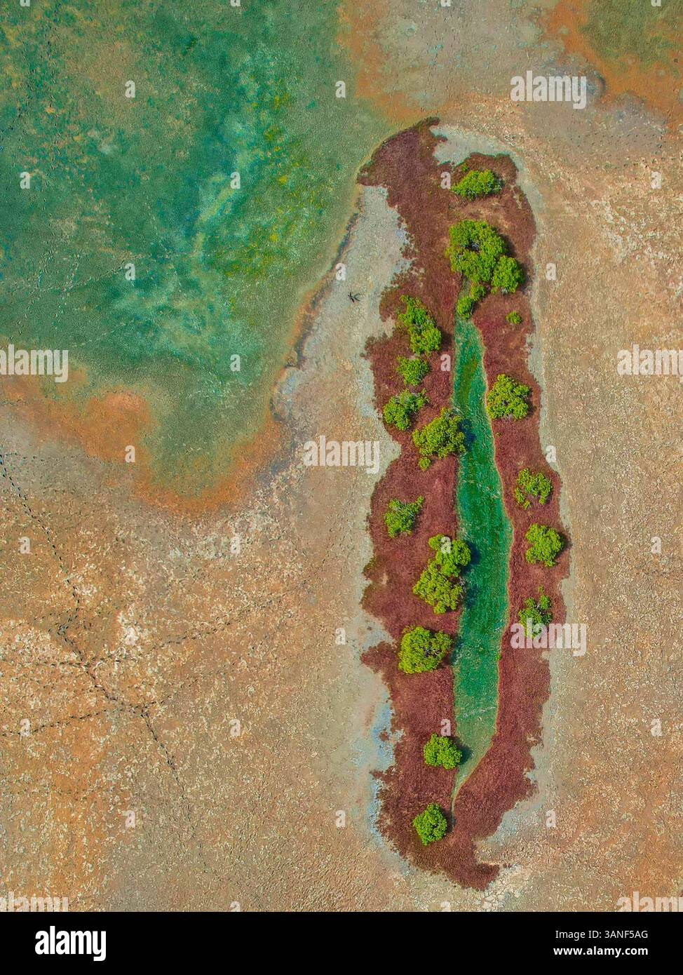 Aerial view of colorful wetland and marsh in Geoff Skinner Wetlands ...