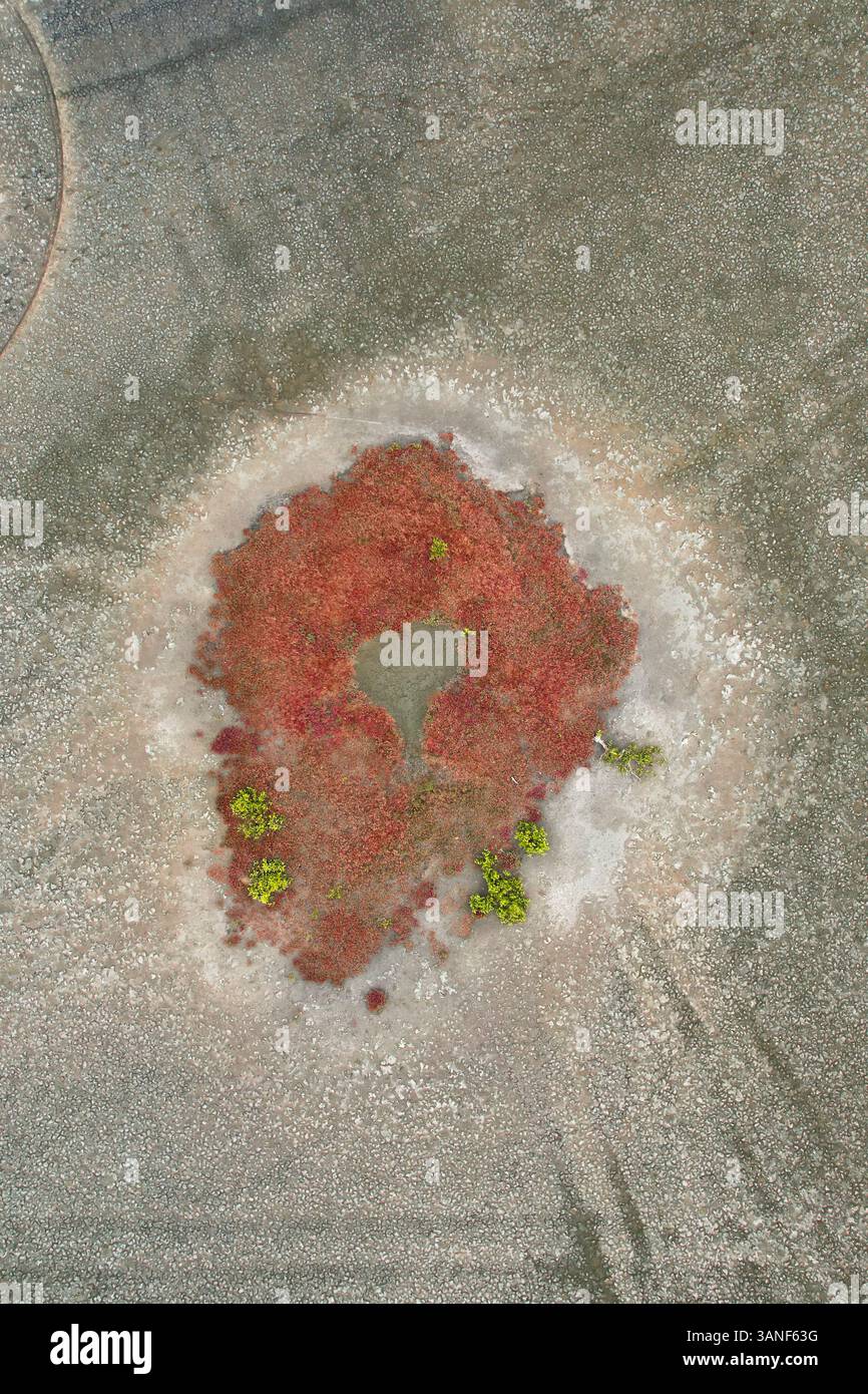 Aerial view of abstract forms and textures in Point Halloran ...