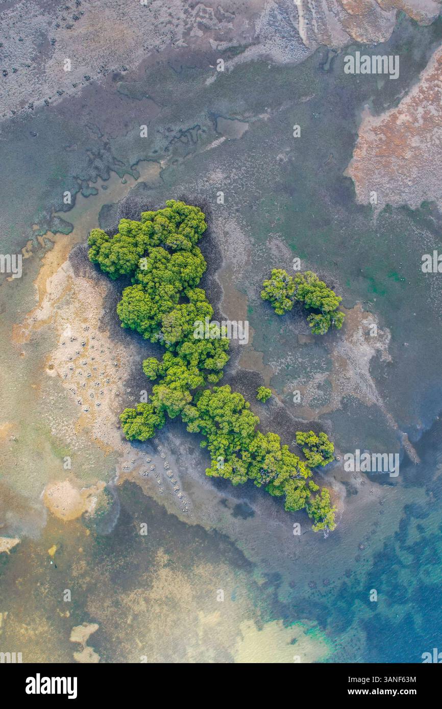 Aerial view of natural mangroves along Pumicestone Passage, Sandstone ...
