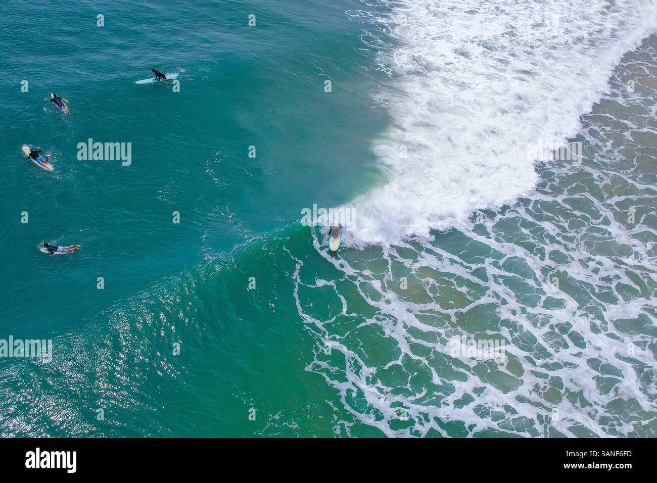 Aerial view of surfers in the Coral Sea at Tea Tree Bay Beach, Noosa ...
