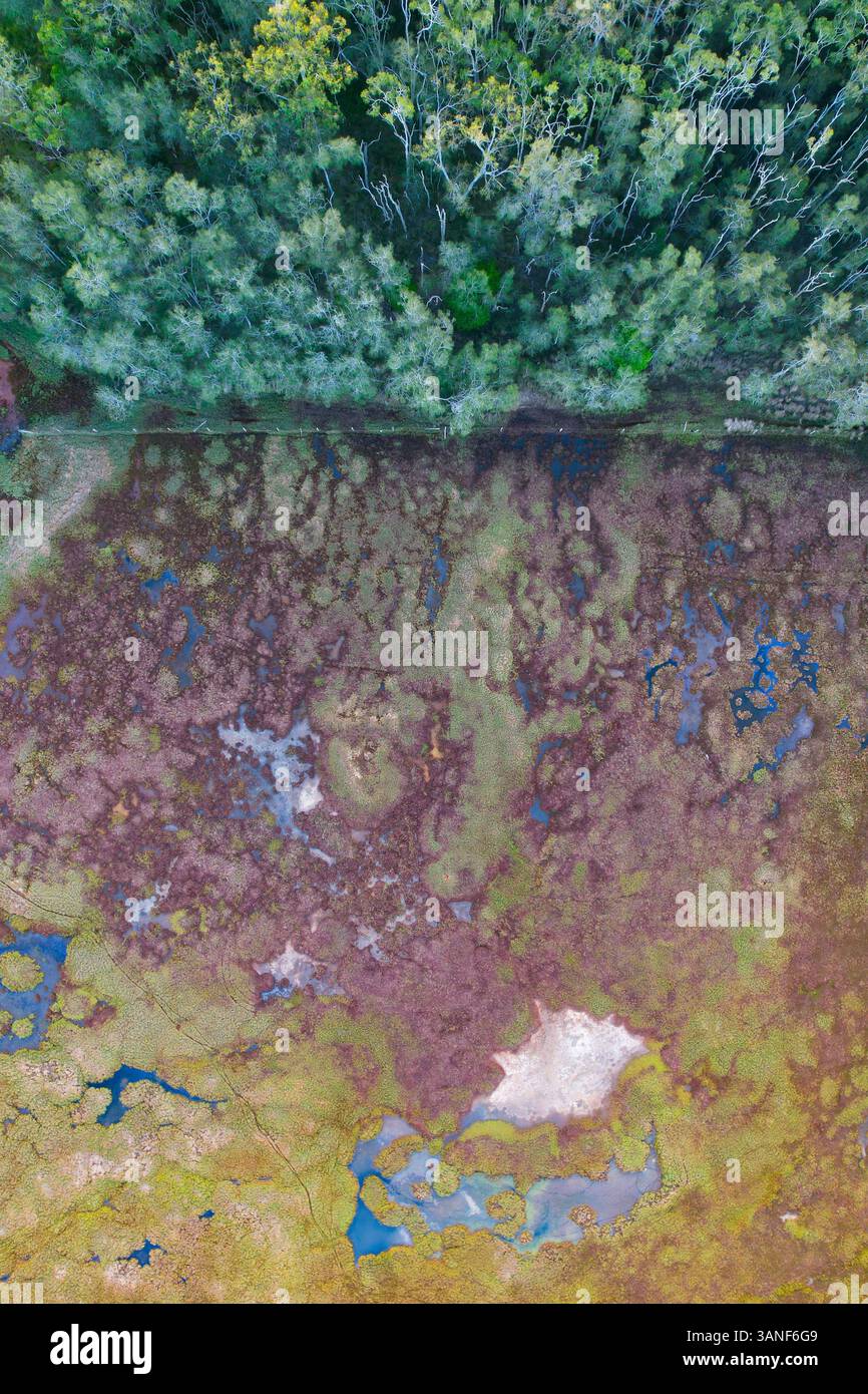 Aerial view of green wetlands and Pumicestone Passage, Beerburrum East ...