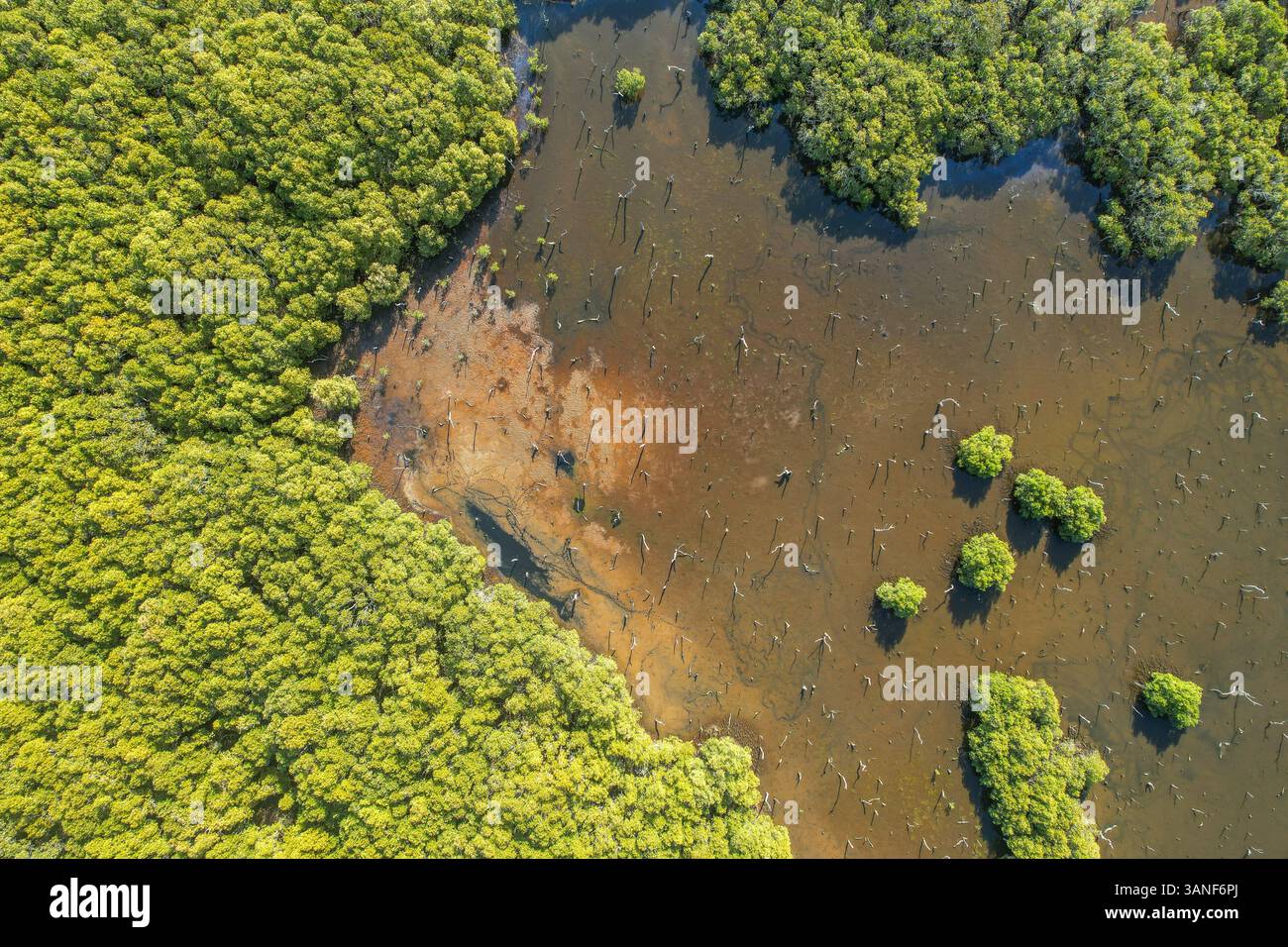 Aerial view of clear water forms in Pine River, Tinchi Tamba Wetlands ...