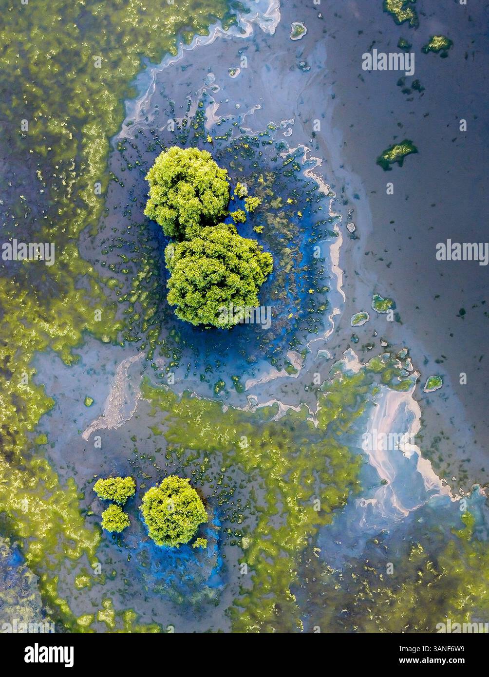 Aerial drone view of Geoff Skinner Wetlands in Wellington Point near ...