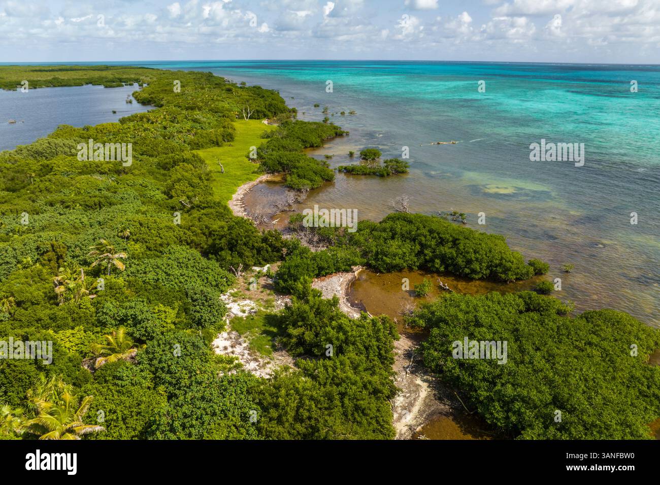 Aerial view of Cayo Centro small island, Biosfera Natural Reserve ...