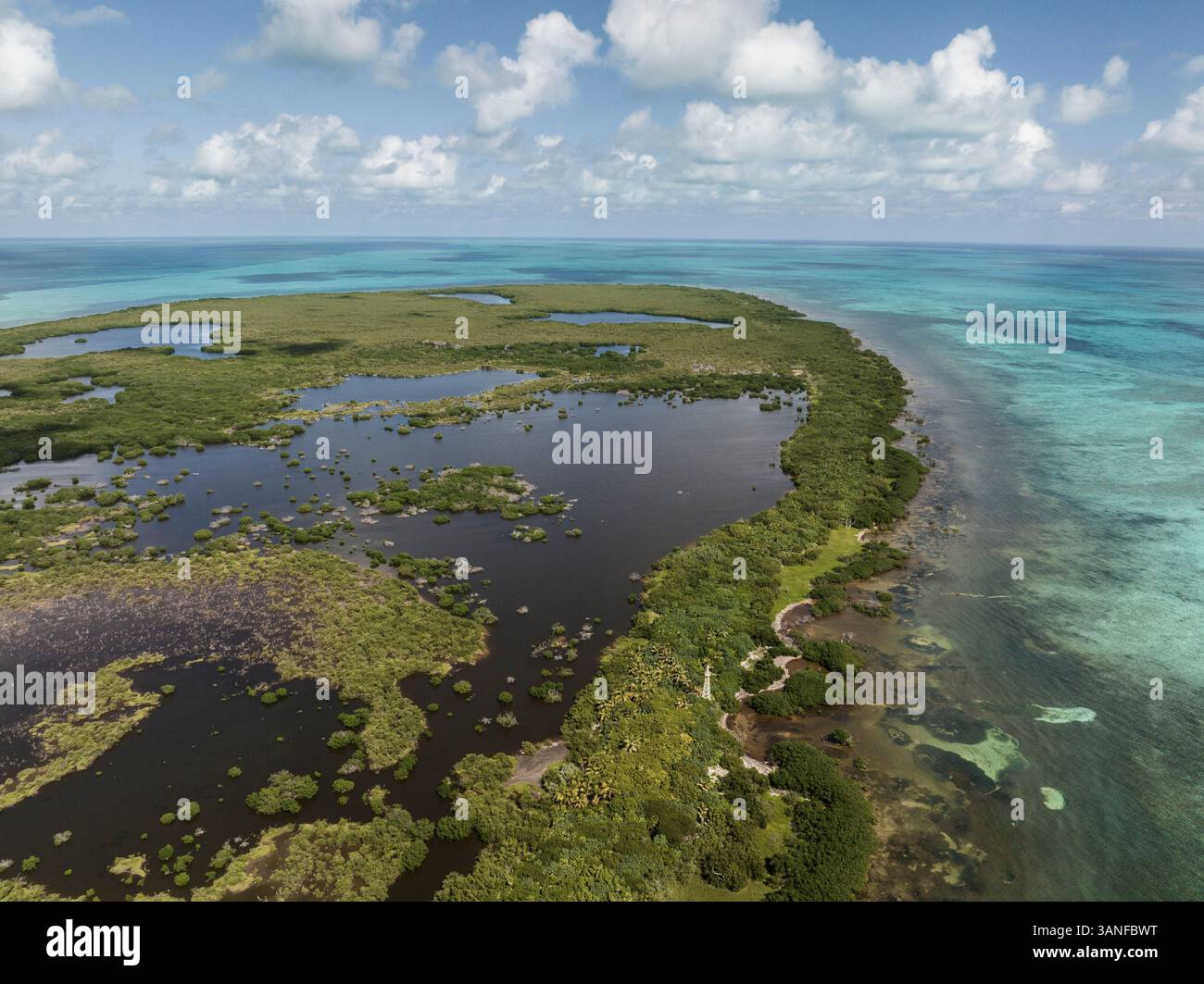 Aerial view of Cayo Centro small island, Biosfera Natural Reserve ...