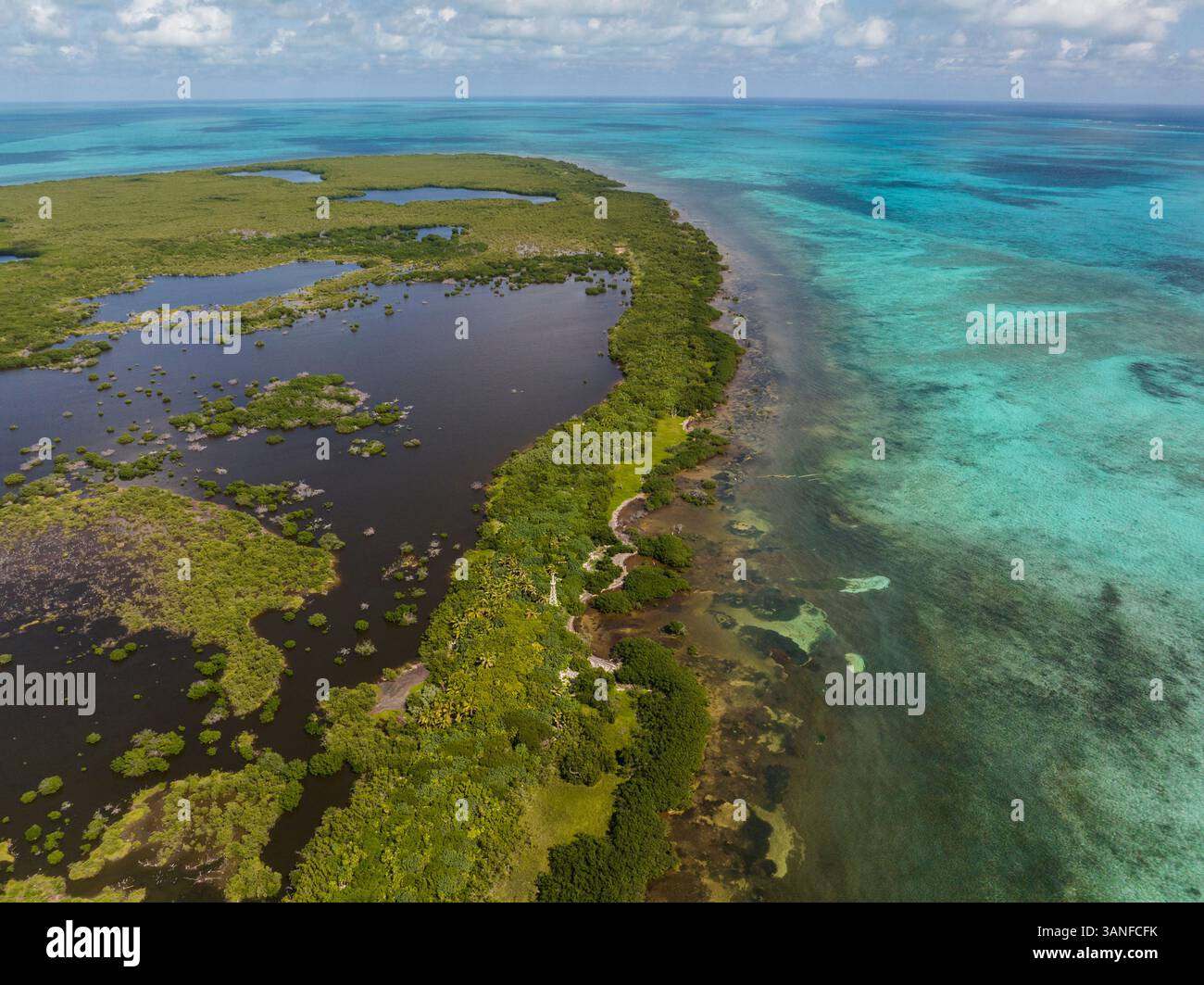 Aerial view of Cayo Centro small island, Biosfera Natural Reserve ...