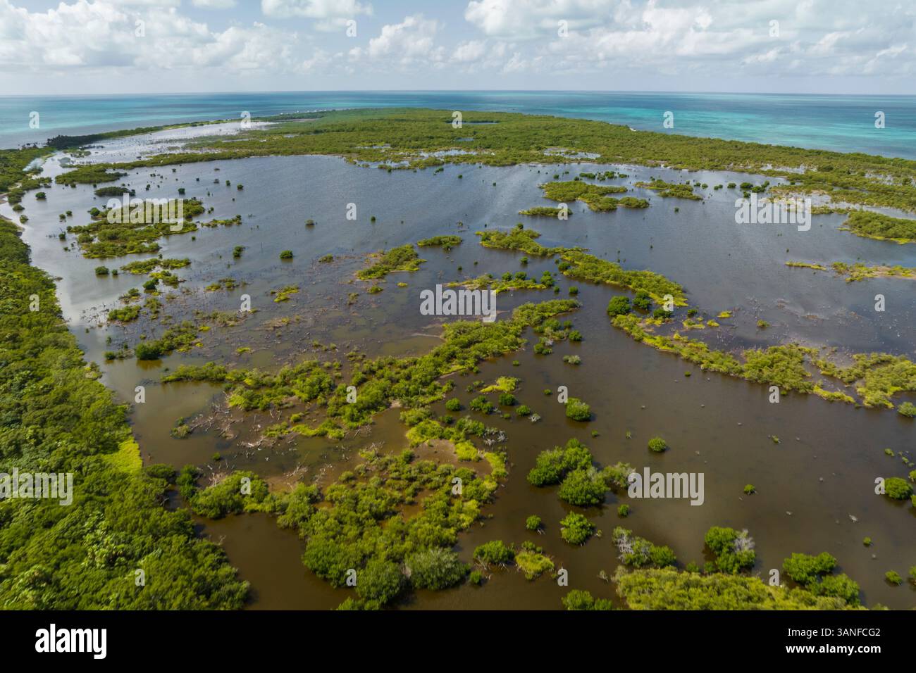 Aerial view of Cayo Centro small island, Biosfera Natural Reserve ...