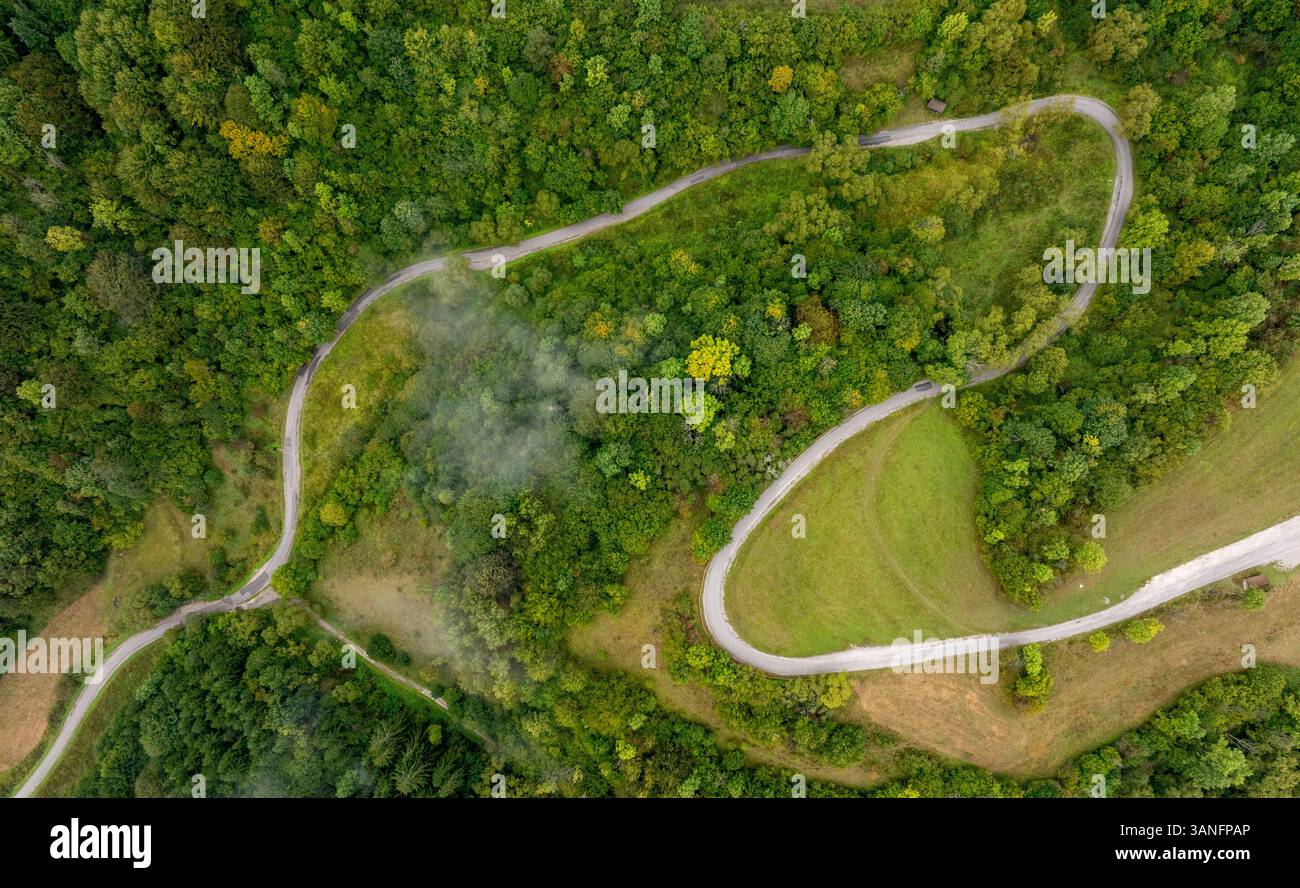 Aerial view of winding road through lush forest and scenic landscape ...