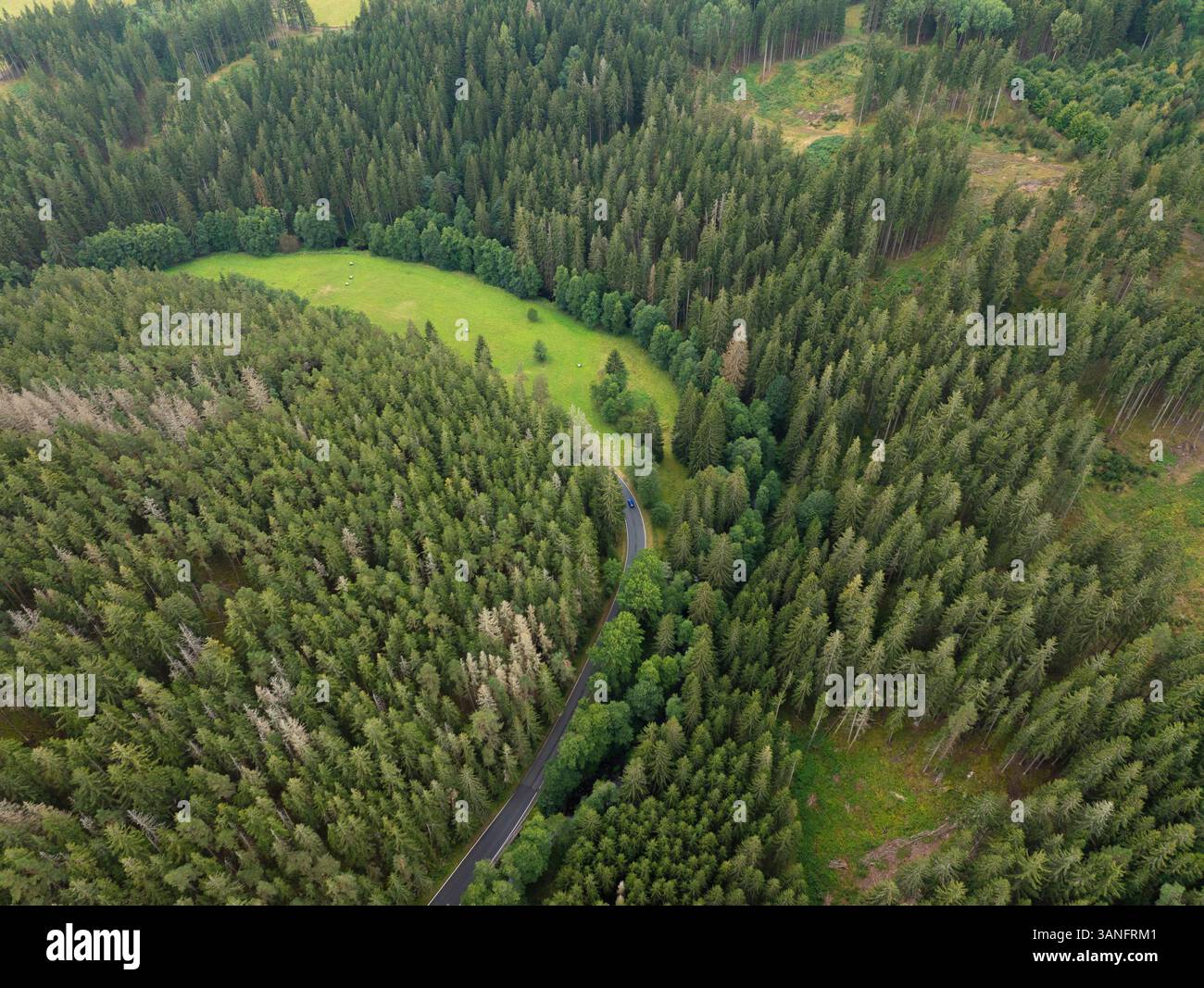 Aerial view of a serene forest landscape with a winding road and lush ...