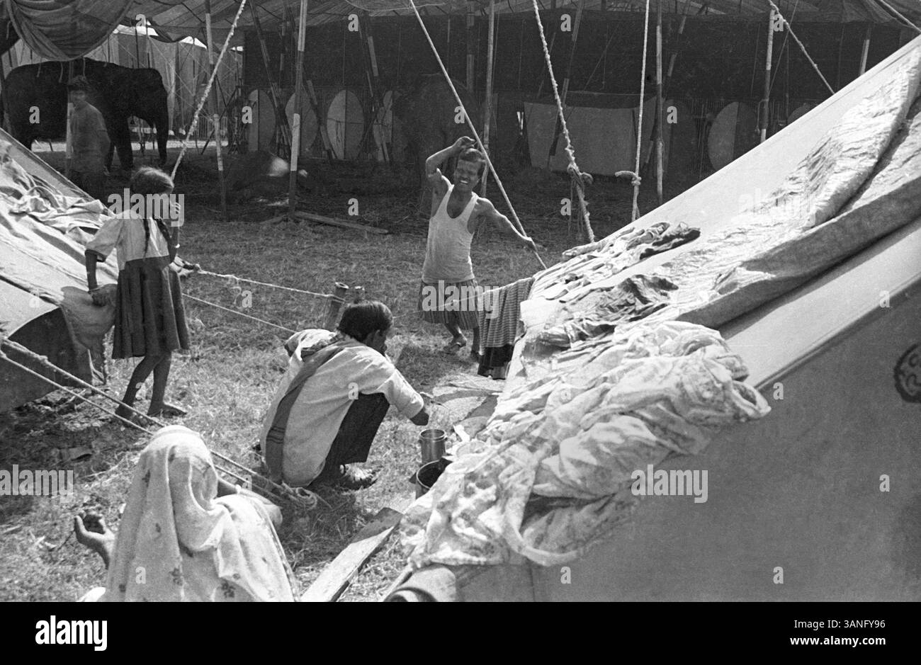 Save the circus Black and White Stock Photos & Images - Alamy
