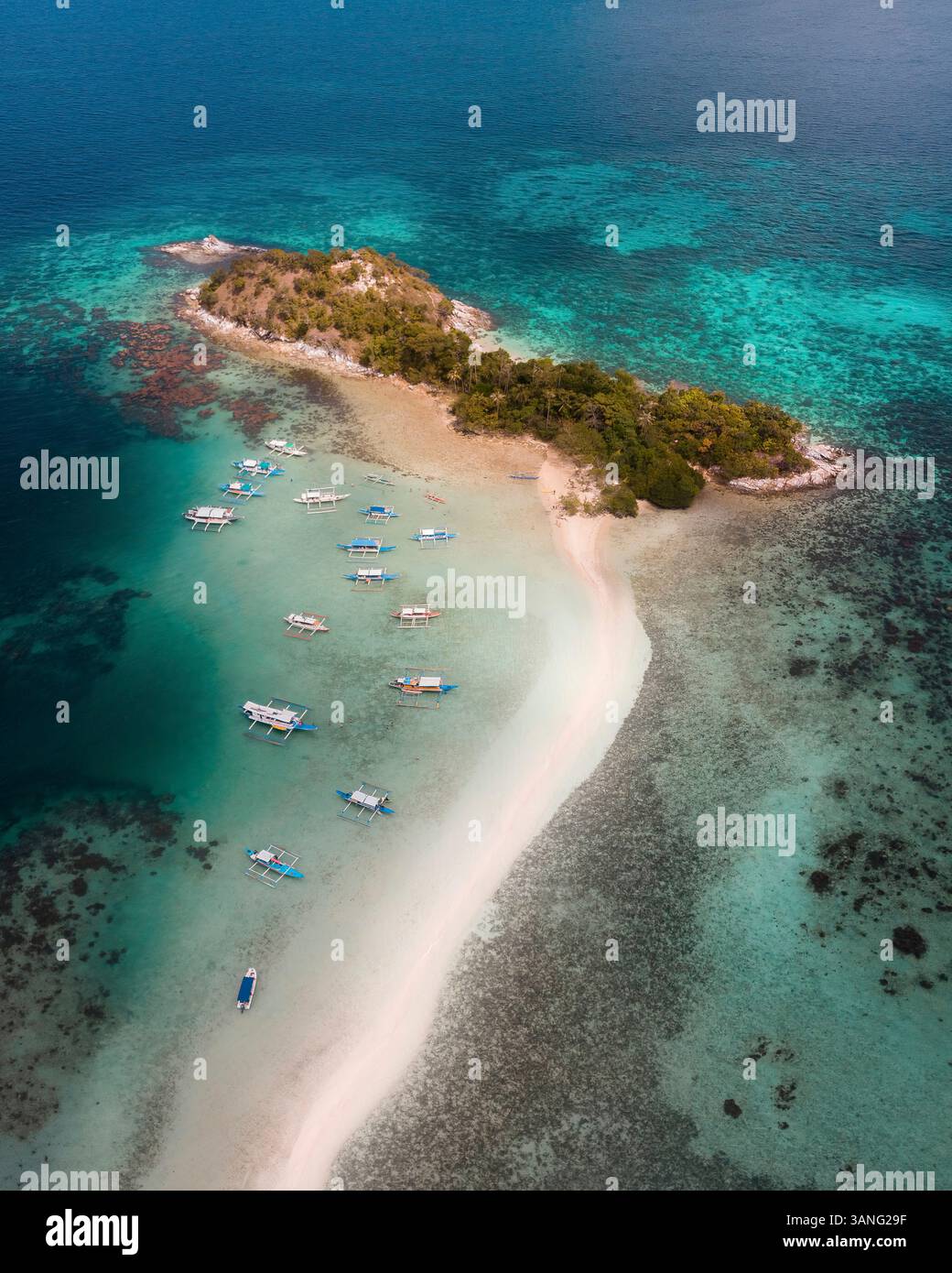Aerial view of Snake Island with beautiful beach, turquoise sea, and ...