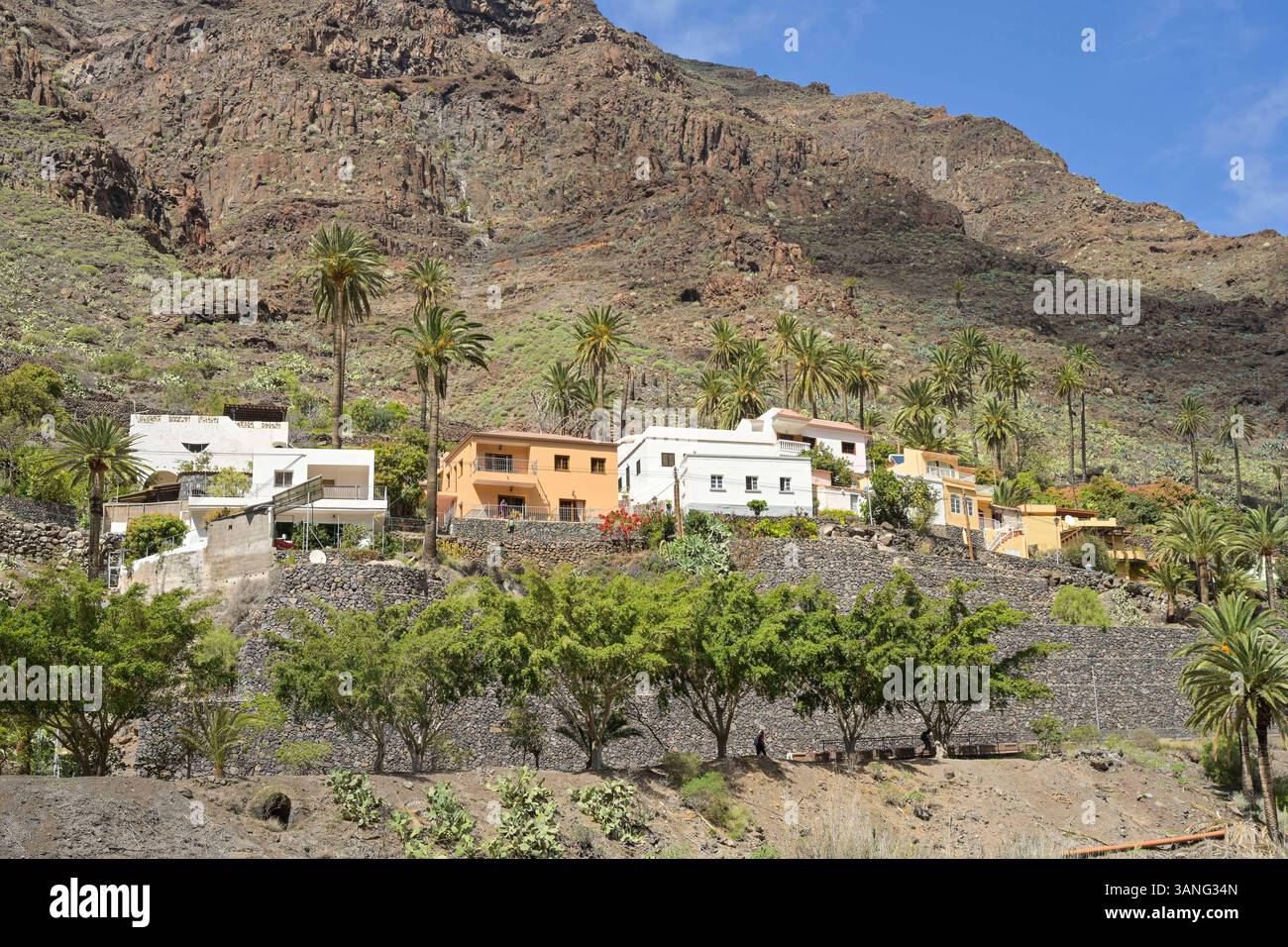 Ansicht der Ortschaft El Guro in der Gemeinde Valle Gran Rey, La Gomera ...