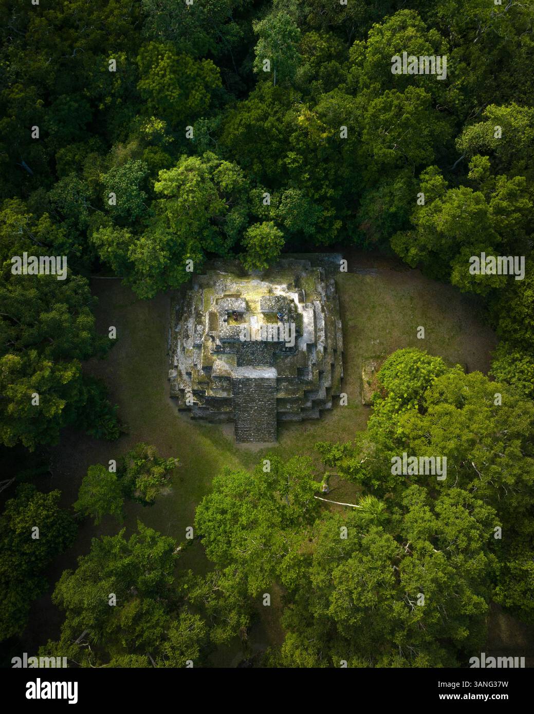 Aerial view of ancient maya ruins with a majestic pyramid surrounded by ...