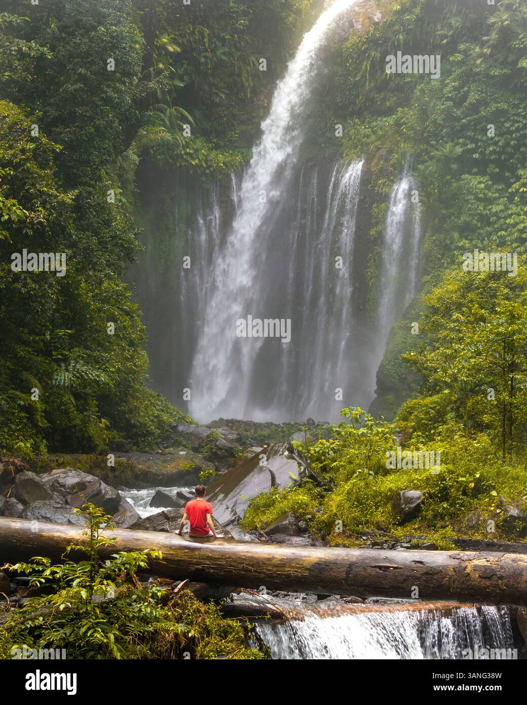 Aerial view of tiu kelep waterfall cascading through lush jungle in a ...