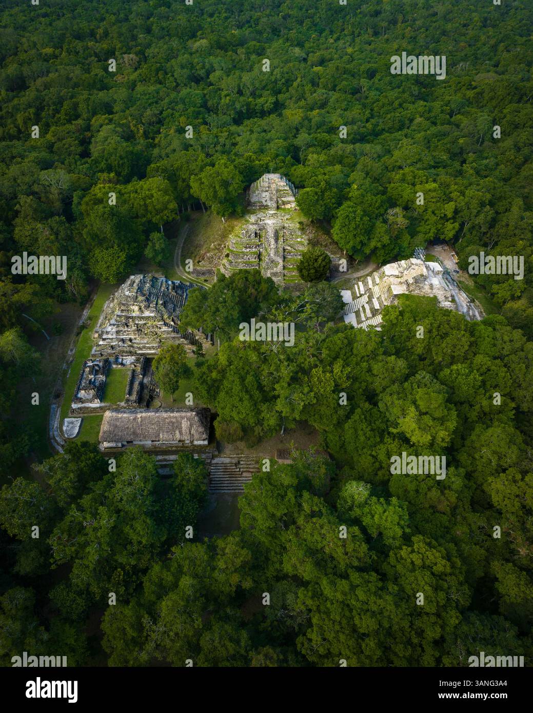 Aerial view of ancient maya ruins and a pyramid surrounded by lush ...