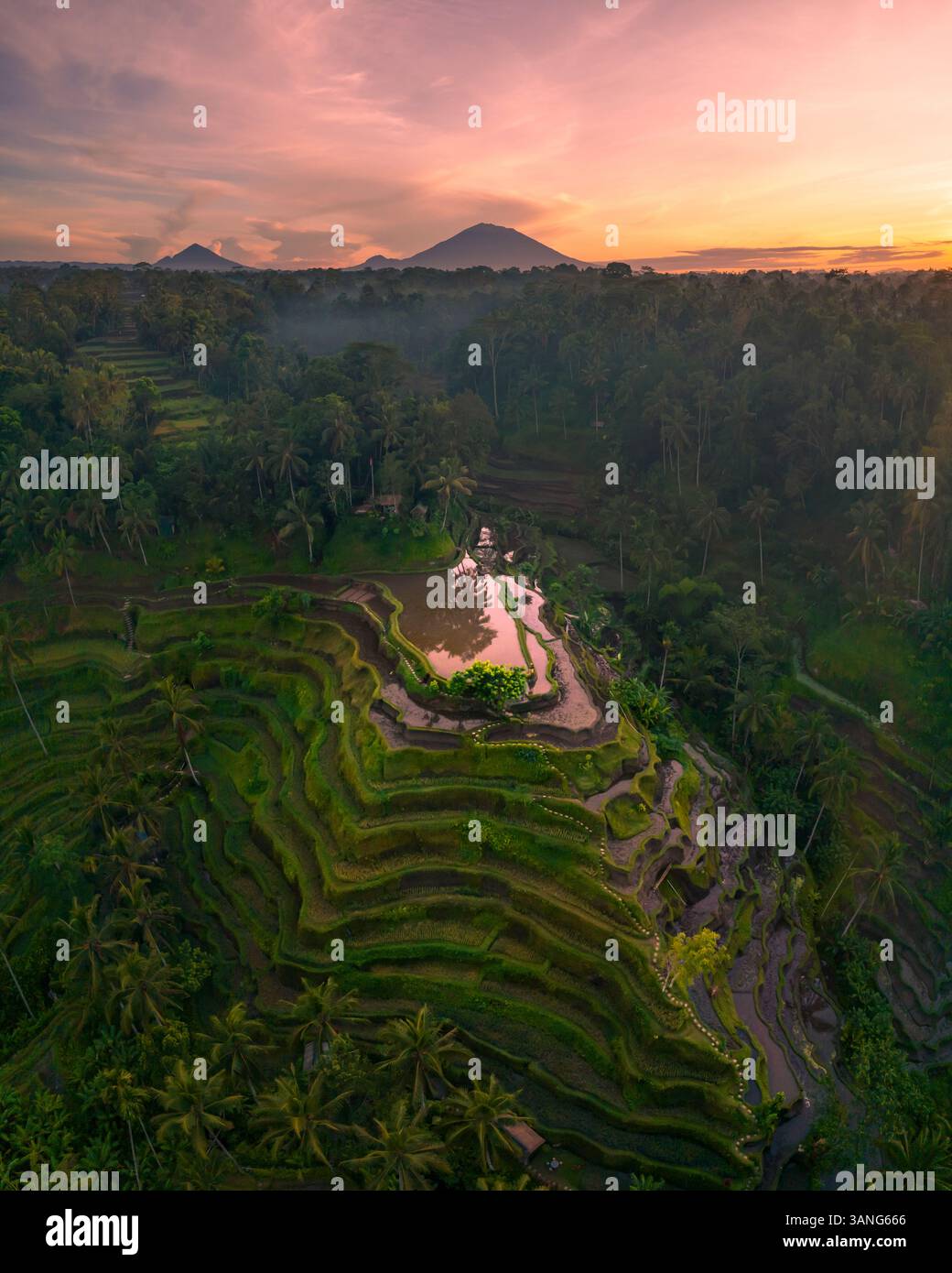 Aerial view of beautiful rice terraces at sunrise with reflections and ...
