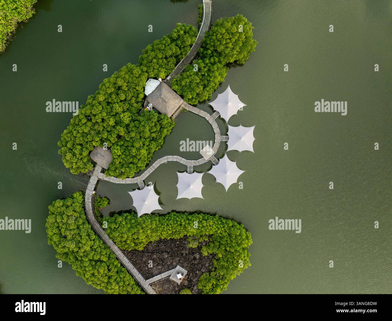 Aerial view of luxurious tropical resort with serene water, lush ...