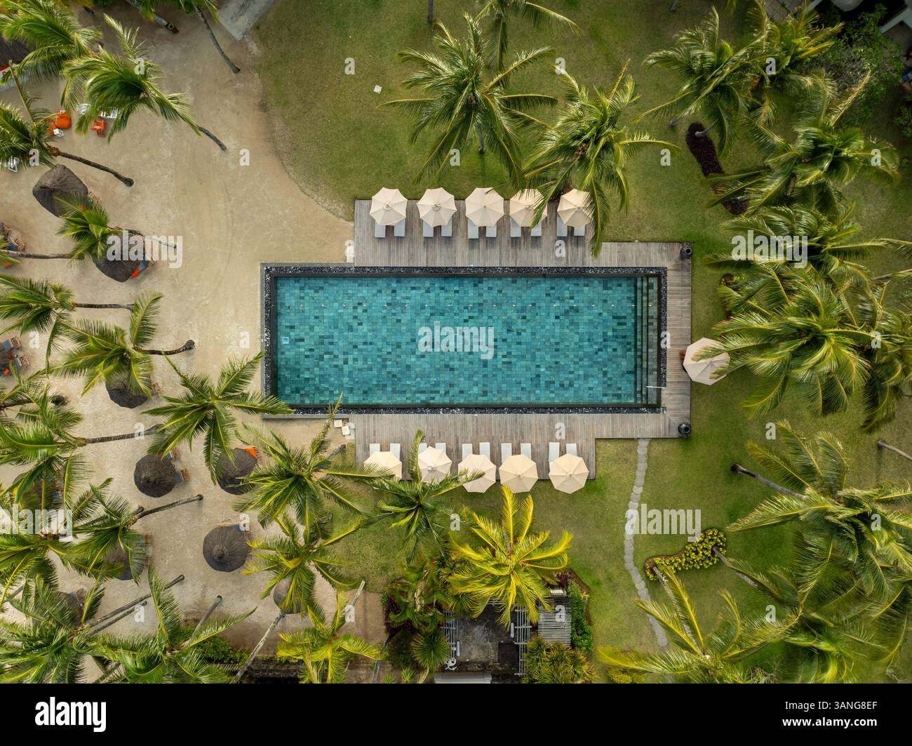 Aerial view of luxurious tropical resort with swimming pool and palm ...