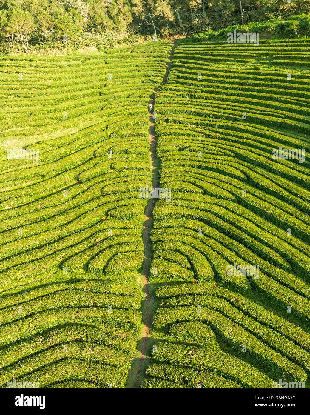 Aerial landscape in maia hi-res stock photography and images - Alamy