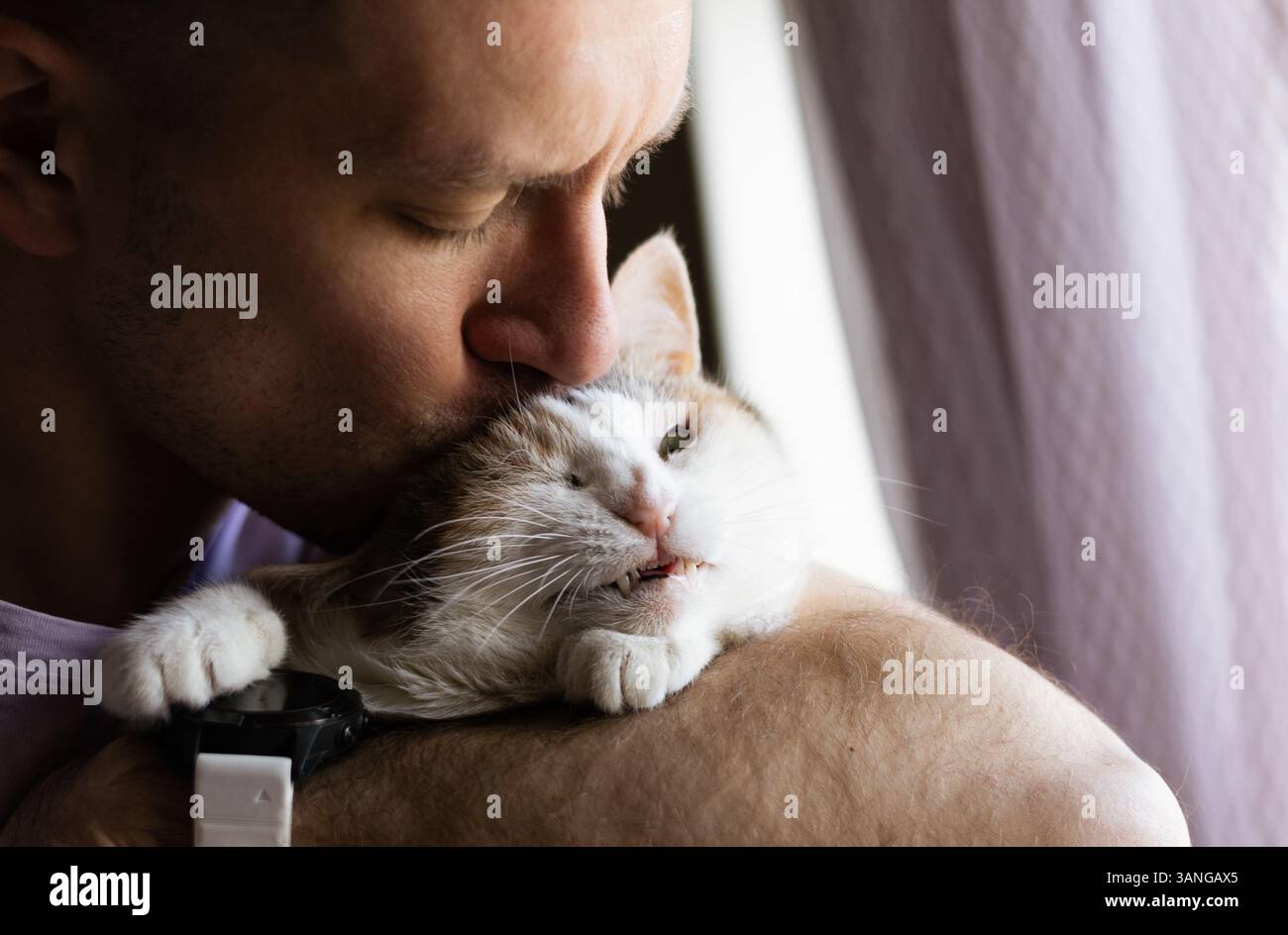 Pet cat love adult kiss hi-res stock photography and images - Alamy