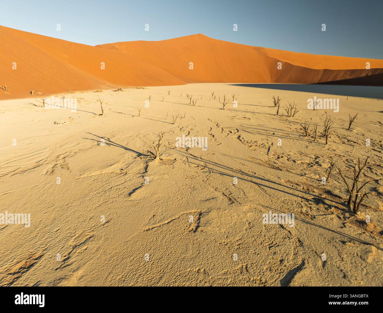 Aerial view of sandy desert landscape with sand dunes in Sossusvlei ...