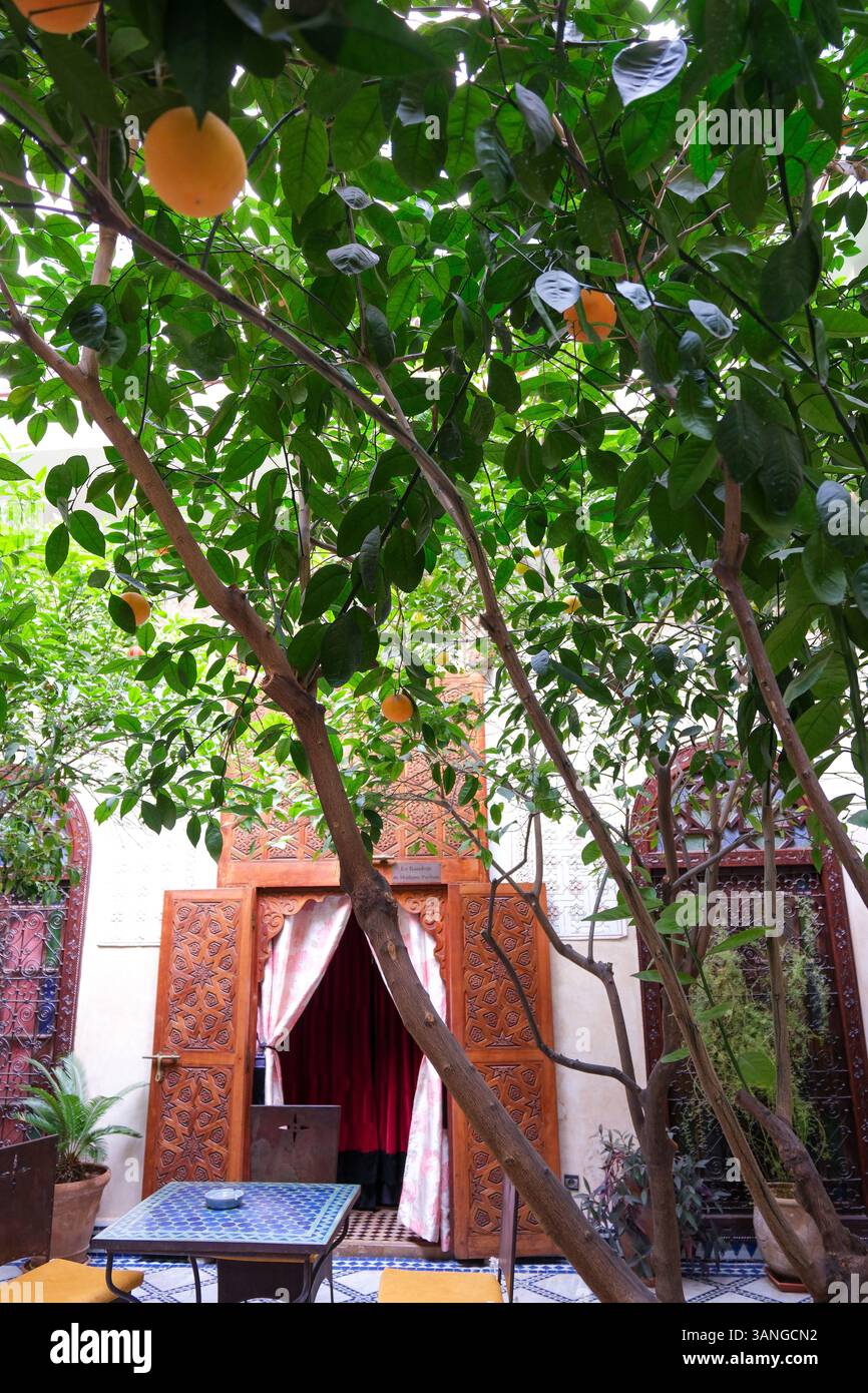 01 Jan 2025 - Marrakesh, Morocco - Moroccan Riad Courtyard building ...