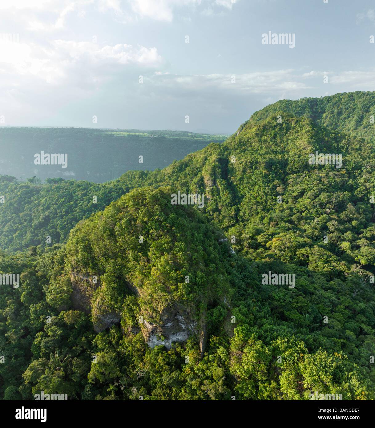 Aerial view of high mountains and lush forest, Meta, Colombia Stock ...