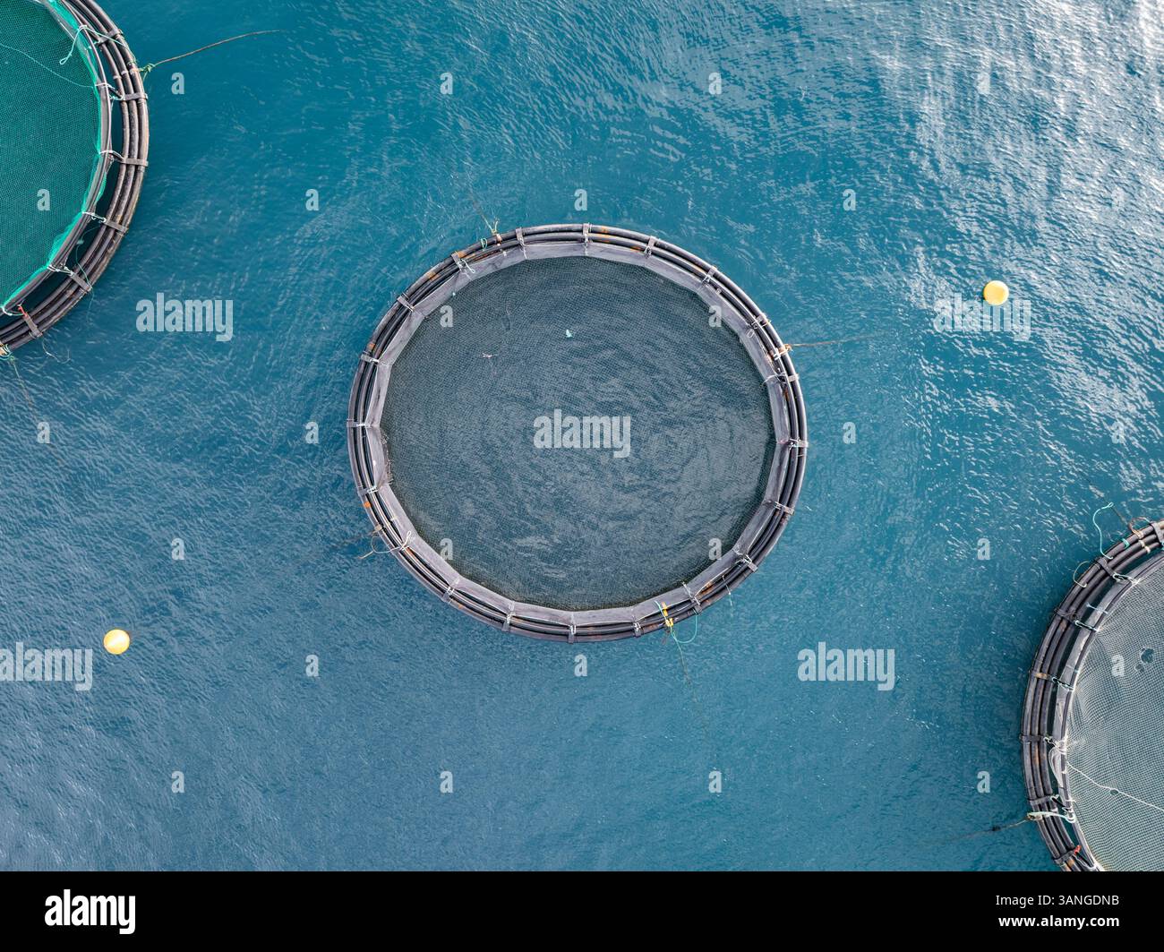 Malta fish farm hi-res stock photography and images - Alamy