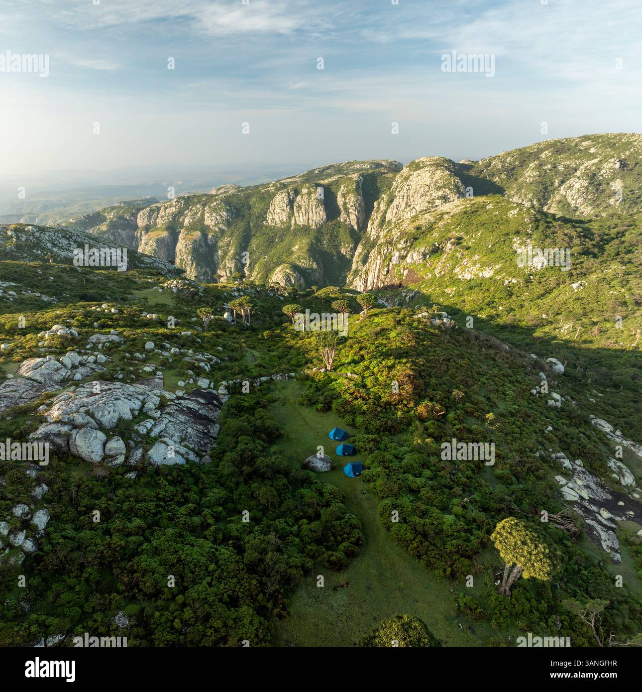 Beautiful island flora birds view hi-res stock photography and images ...