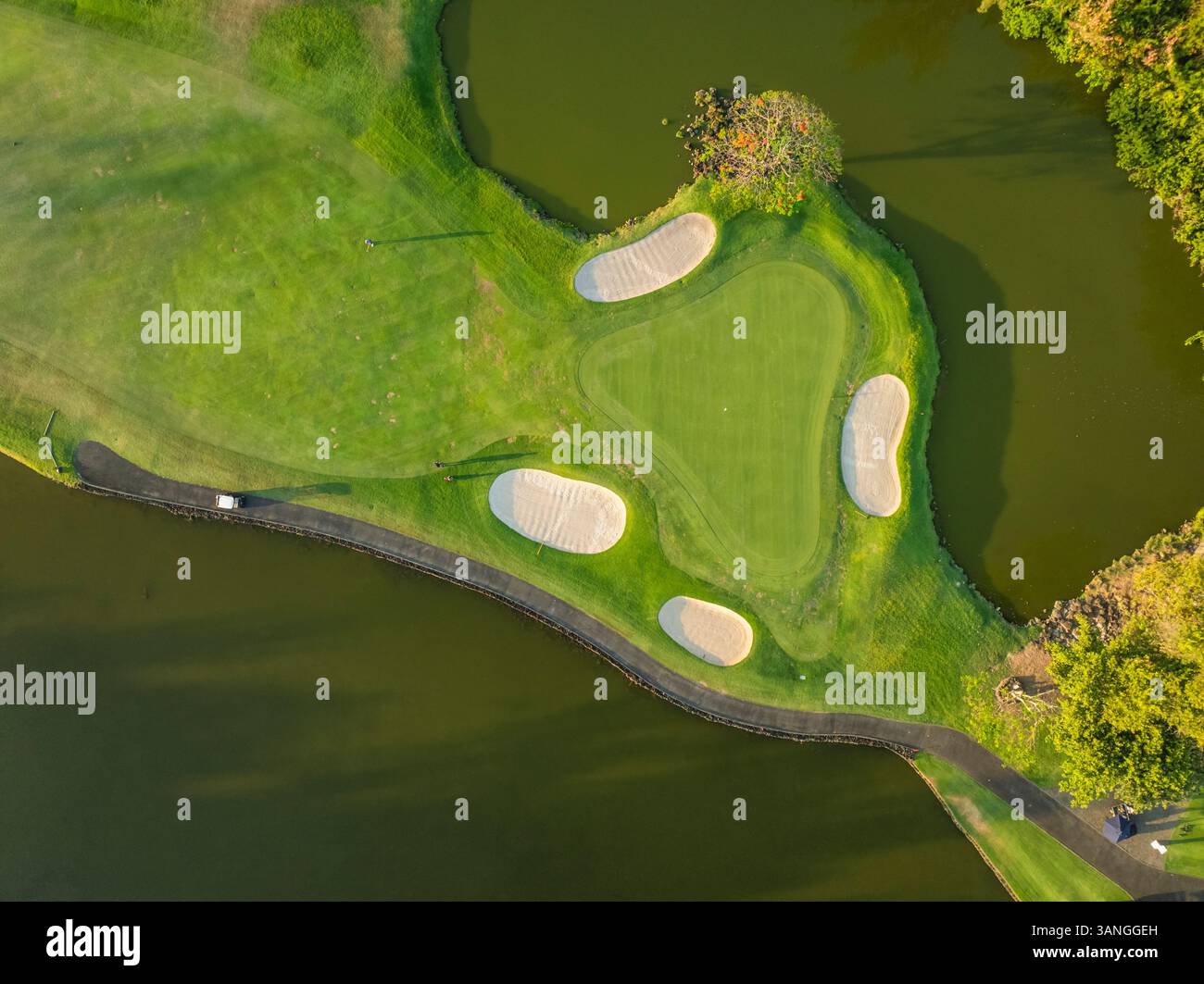 Aerial view of Constance Golf course, Flacq, Mauritius Stock Photo - Alamy