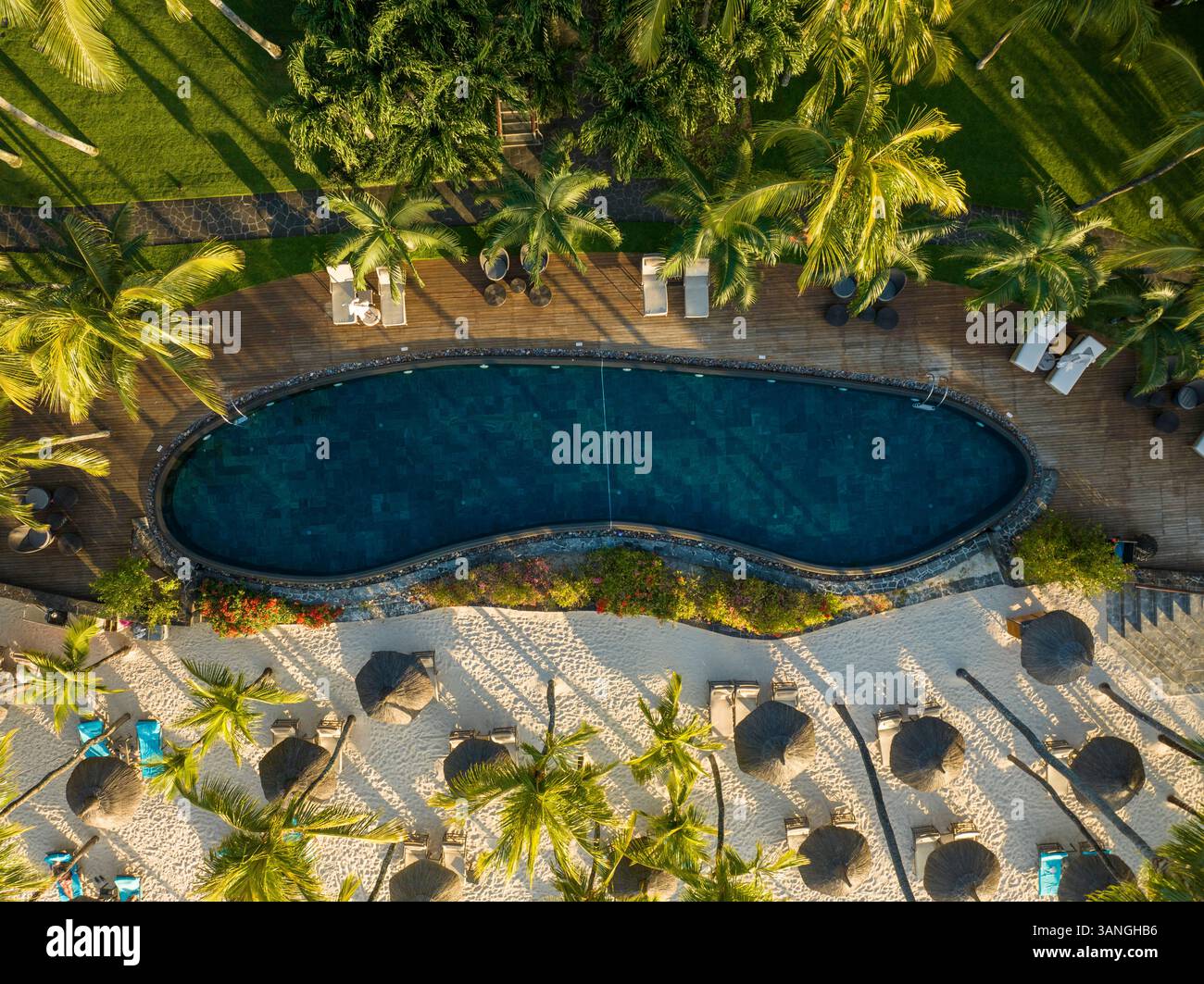 Aerial view of Royal Palm hotel with palm trees and swimming pool ...