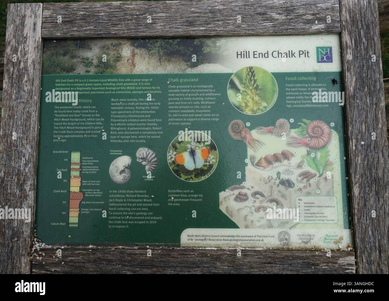 Interpretation Board at Hill End Chalk Pit Nature Reserve Stock Photo ...