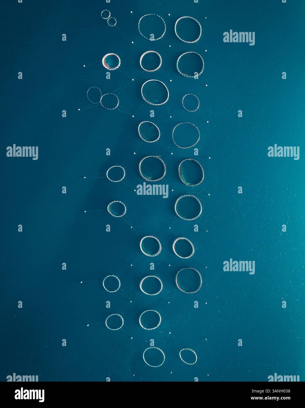 Aerial view of fish farm off the coastline in the ocean sea water ...